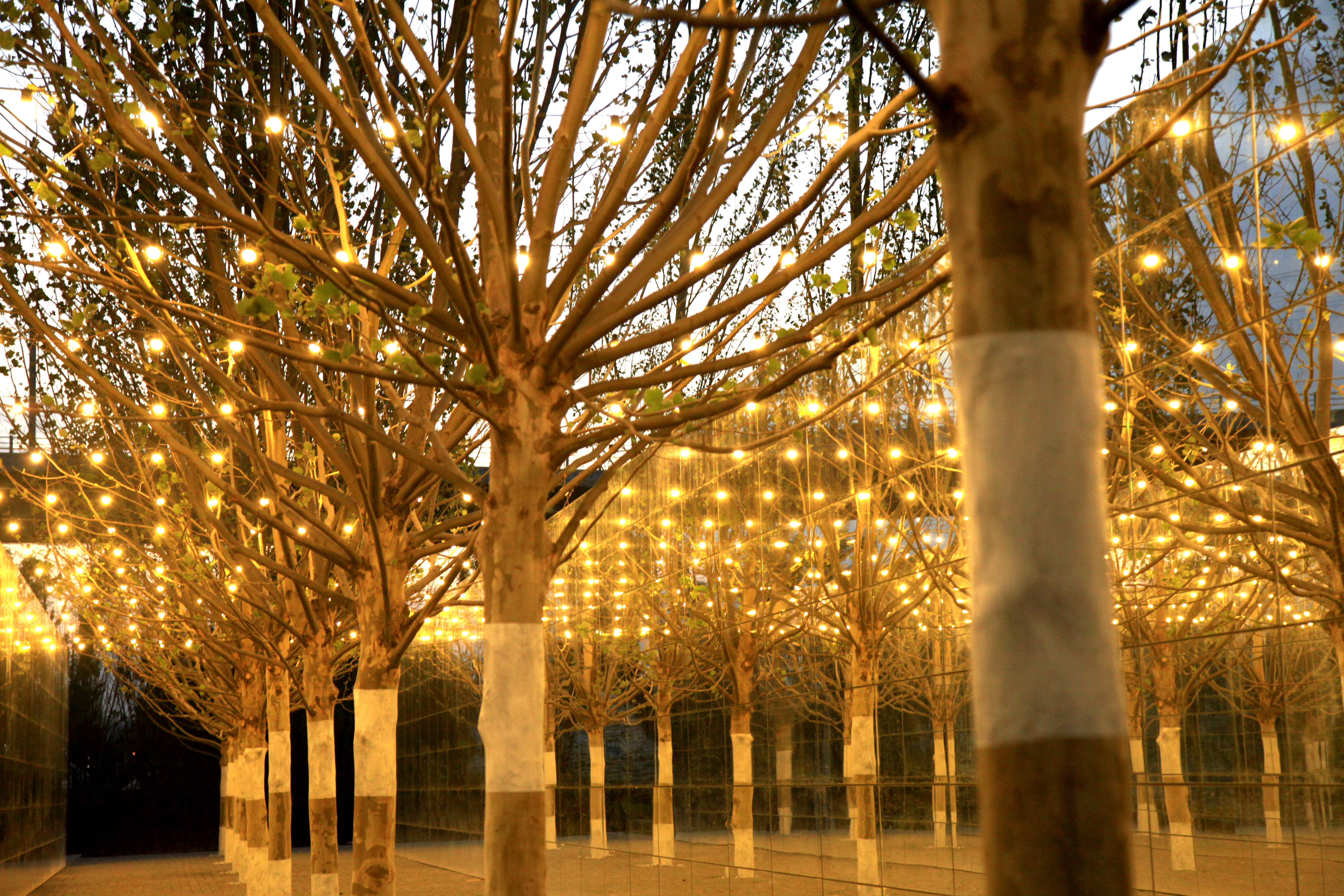 Finite/Infinite Garden by Ballistic Architecture Machine (BAM) - Architizer