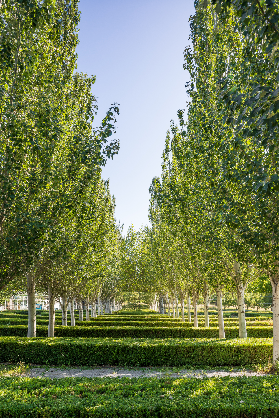 Finite/Infinite Garden by Ballistic Architecture Machine (BAM) - Architizer