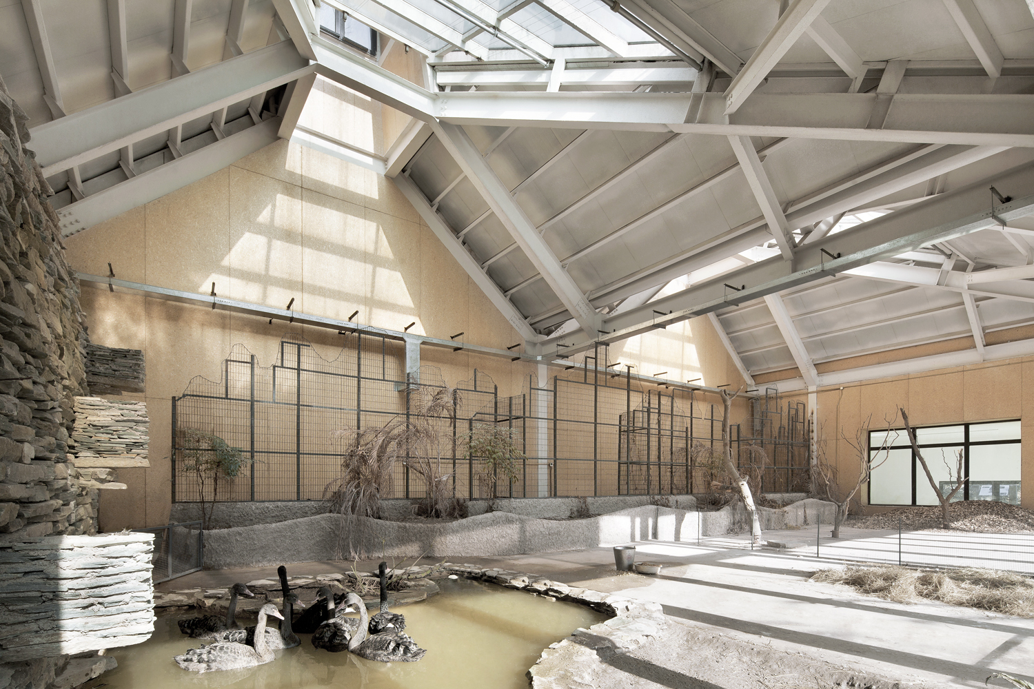 Waterfowl pavilion of Beijing Zoo by SUP Atelier of THAD - Architizer