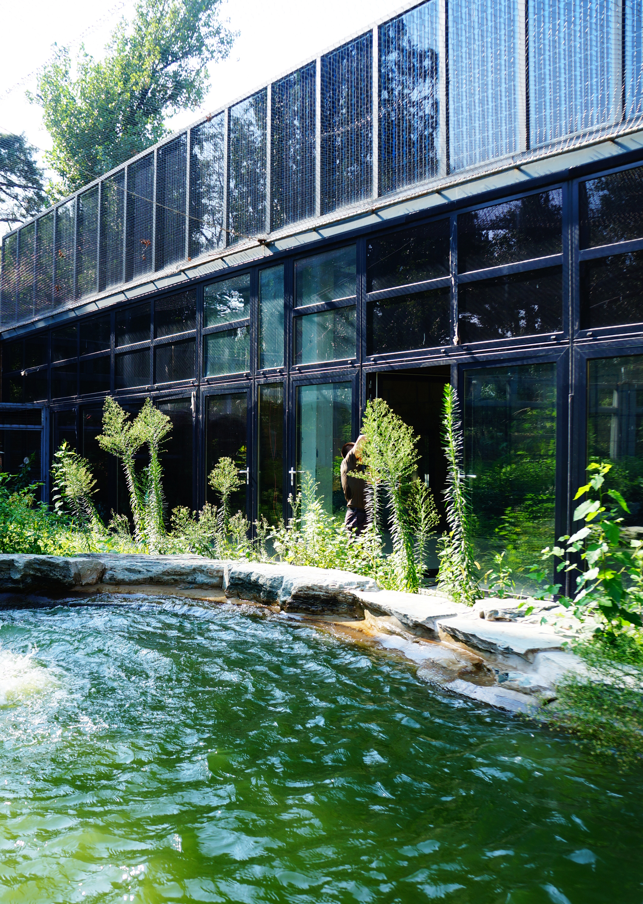 Waterfowl pavilion of Beijing Zoo by SUP Atelier of THAD - Architizer