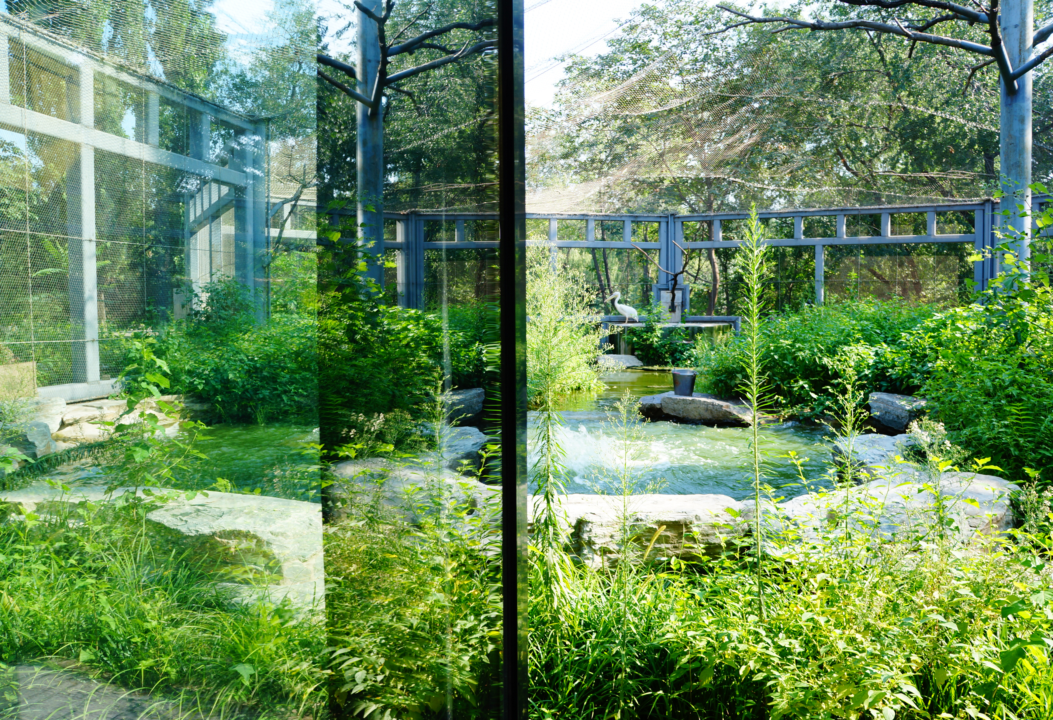 Waterfowl pavilion of Beijing Zoo by SUP Atelier of THAD - Architizer