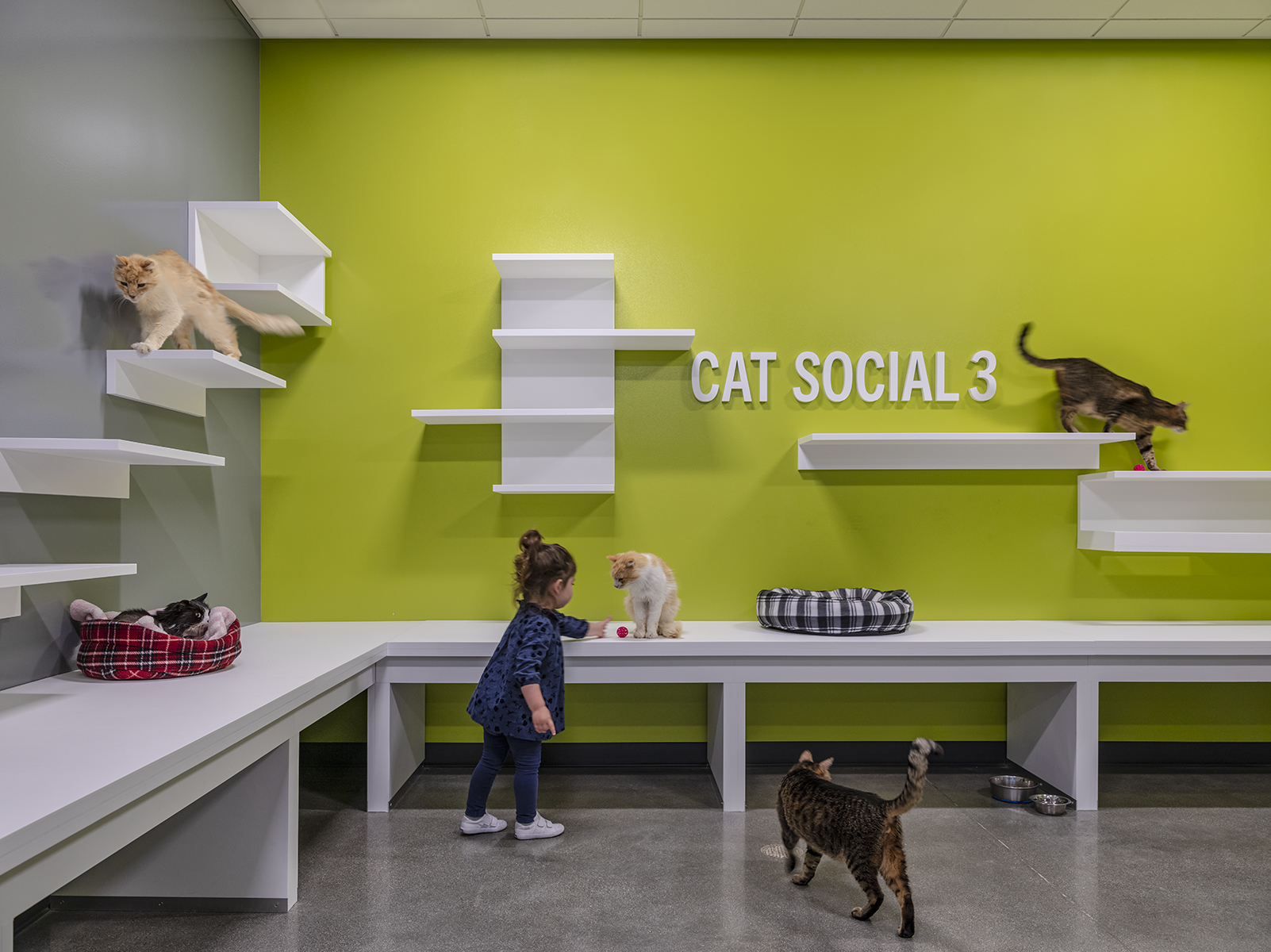 Idea 3310957: County of Santa Clara, Animal Services Center by Dreyfuss ...