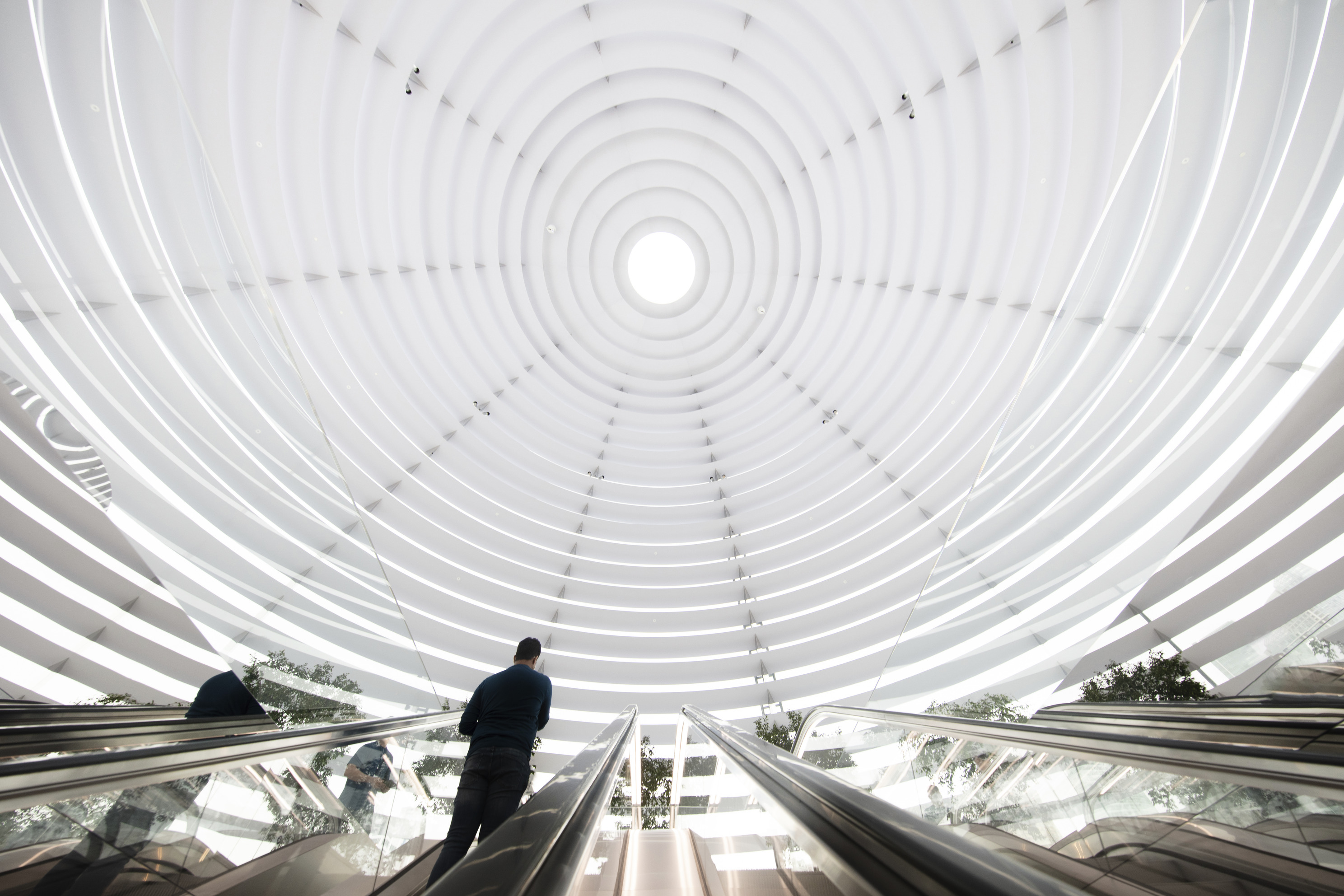 Apple Marina Bay Sands by Foster + Partners - Architizer