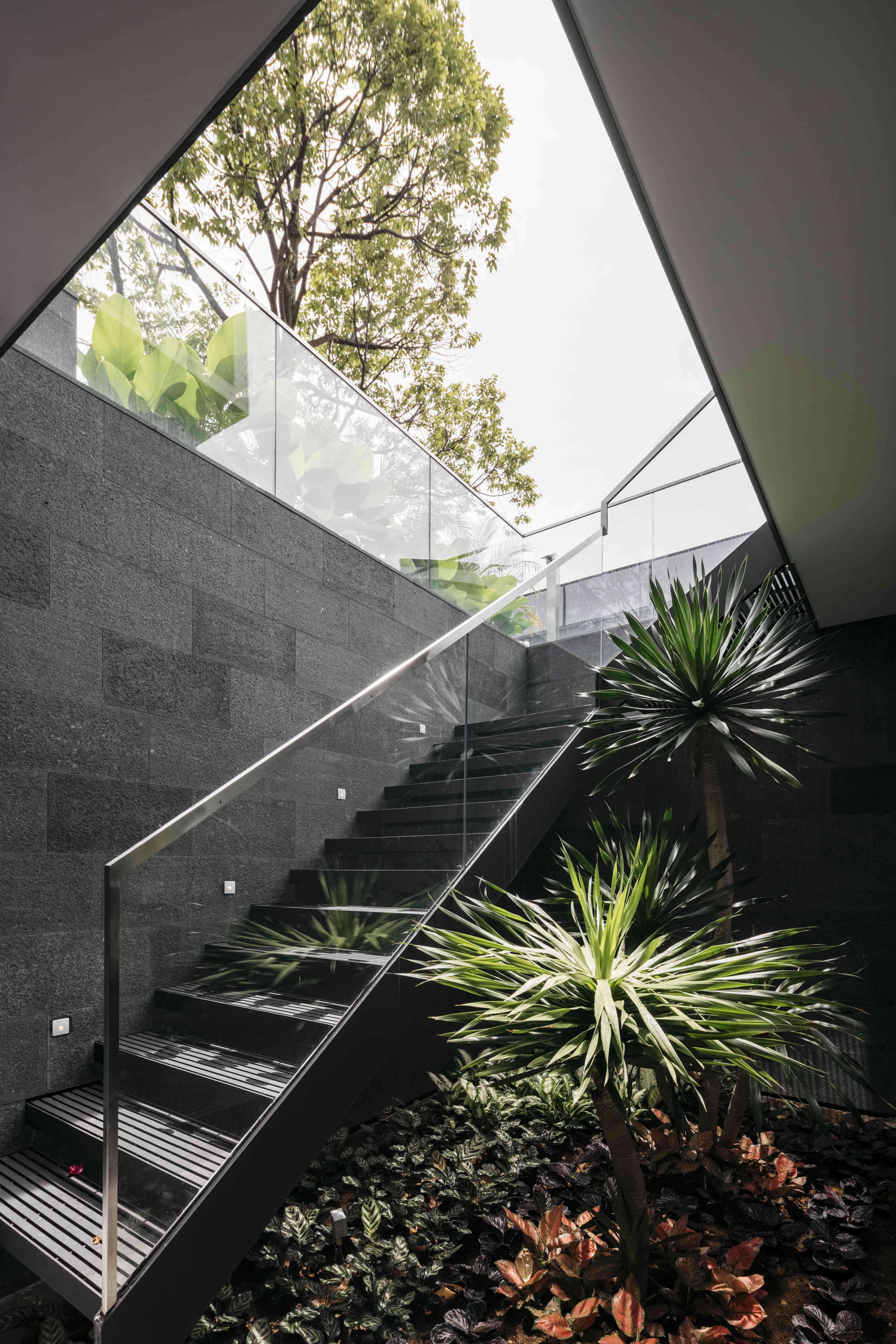 Carve House by Ming Architects - Architizer