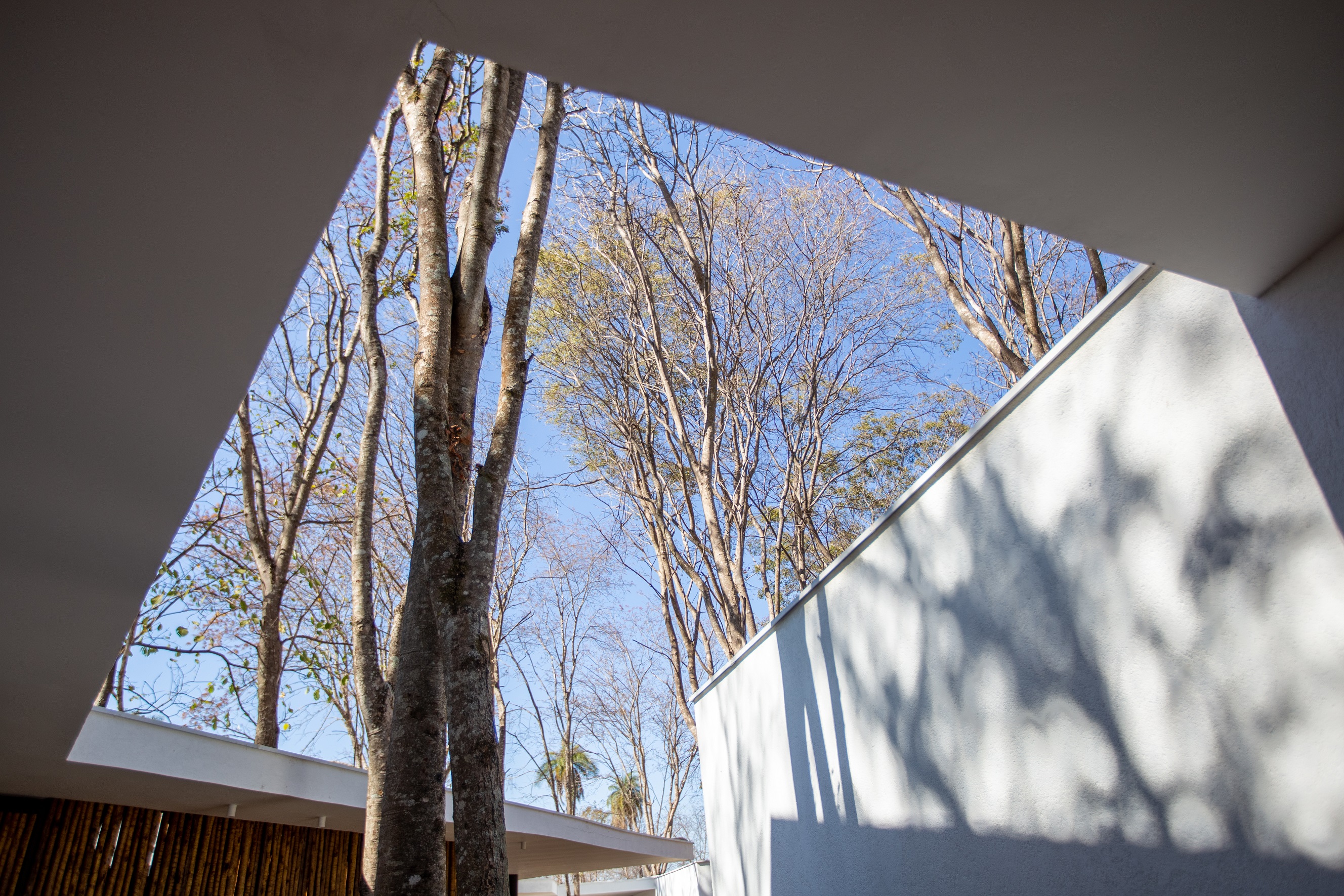 Soil House by TETRO ARQUITETURA - Architizer