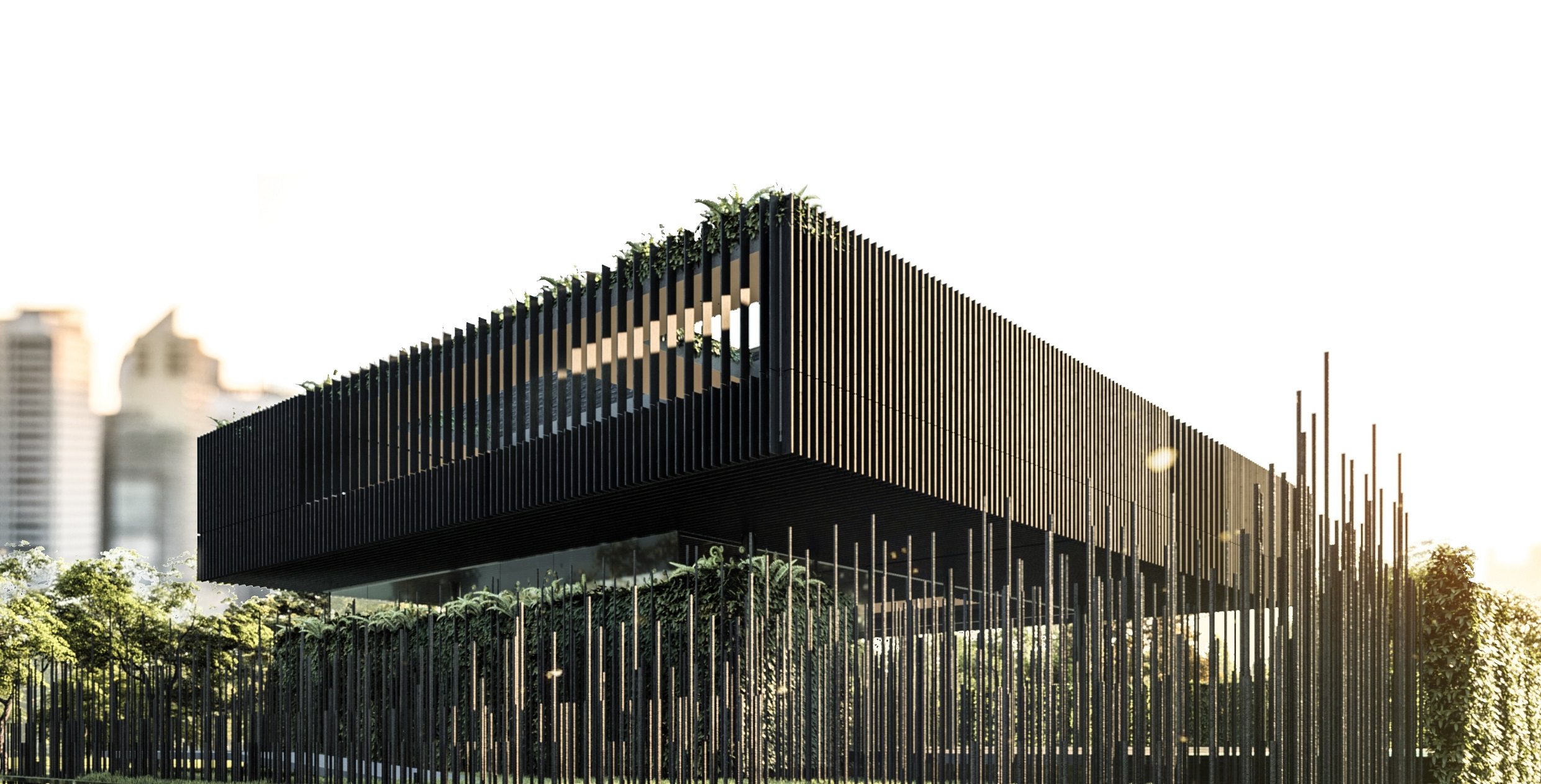 Roots house by TETRO ARQUITETURA - Architizer