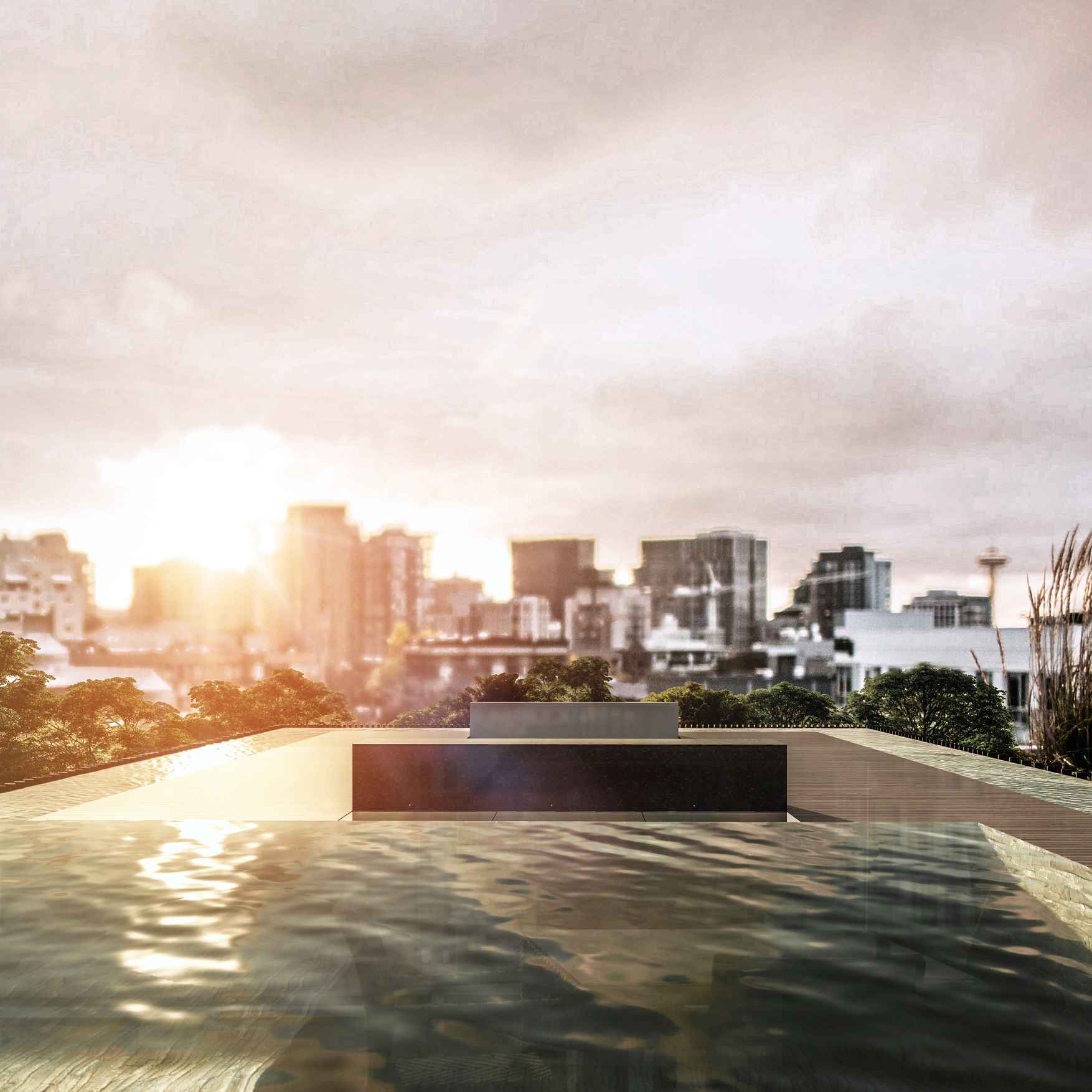 Roots house by TETRO ARQUITETURA - Architizer