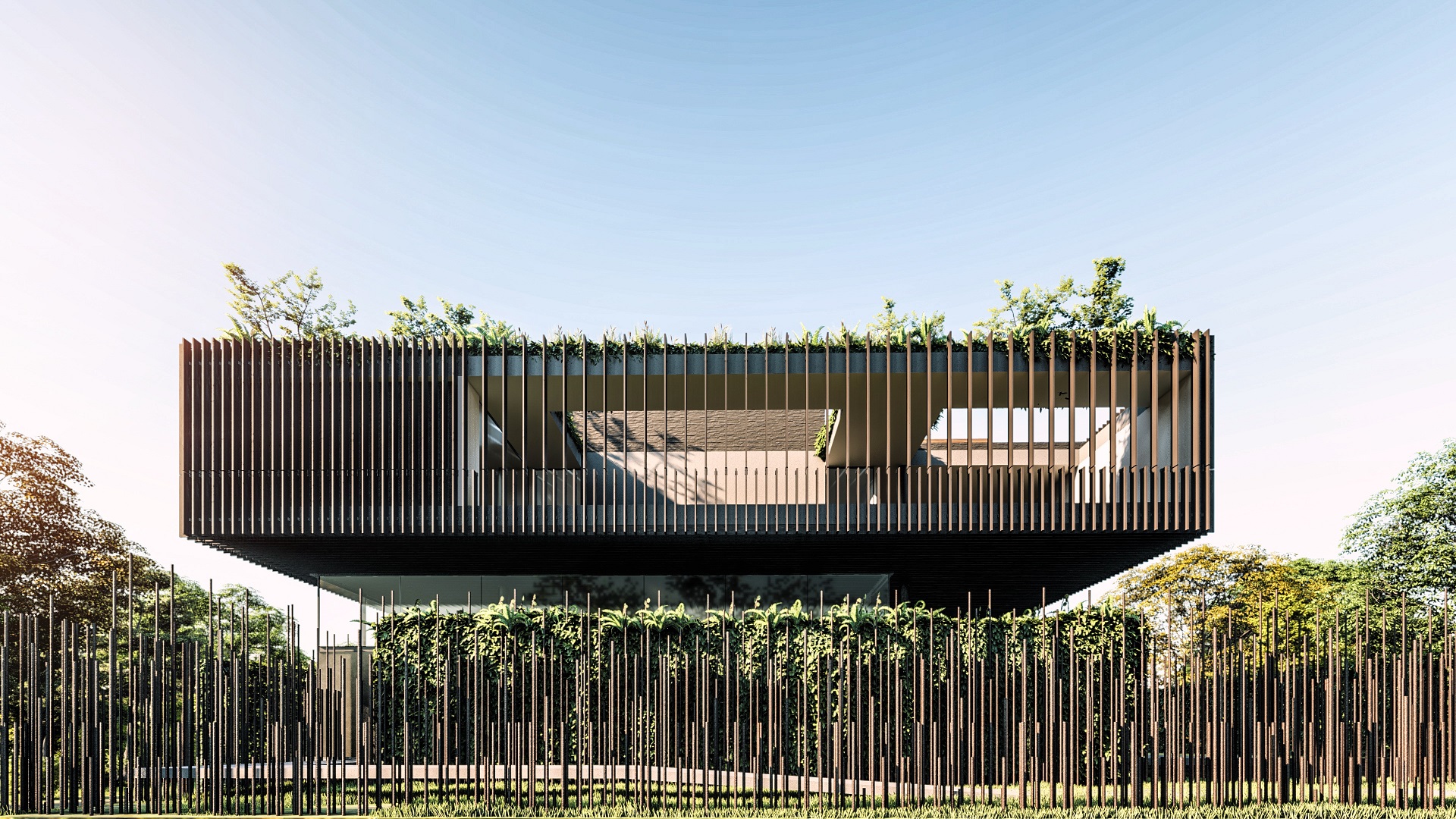 Roots house by TETRO ARQUITETURA - Architizer
