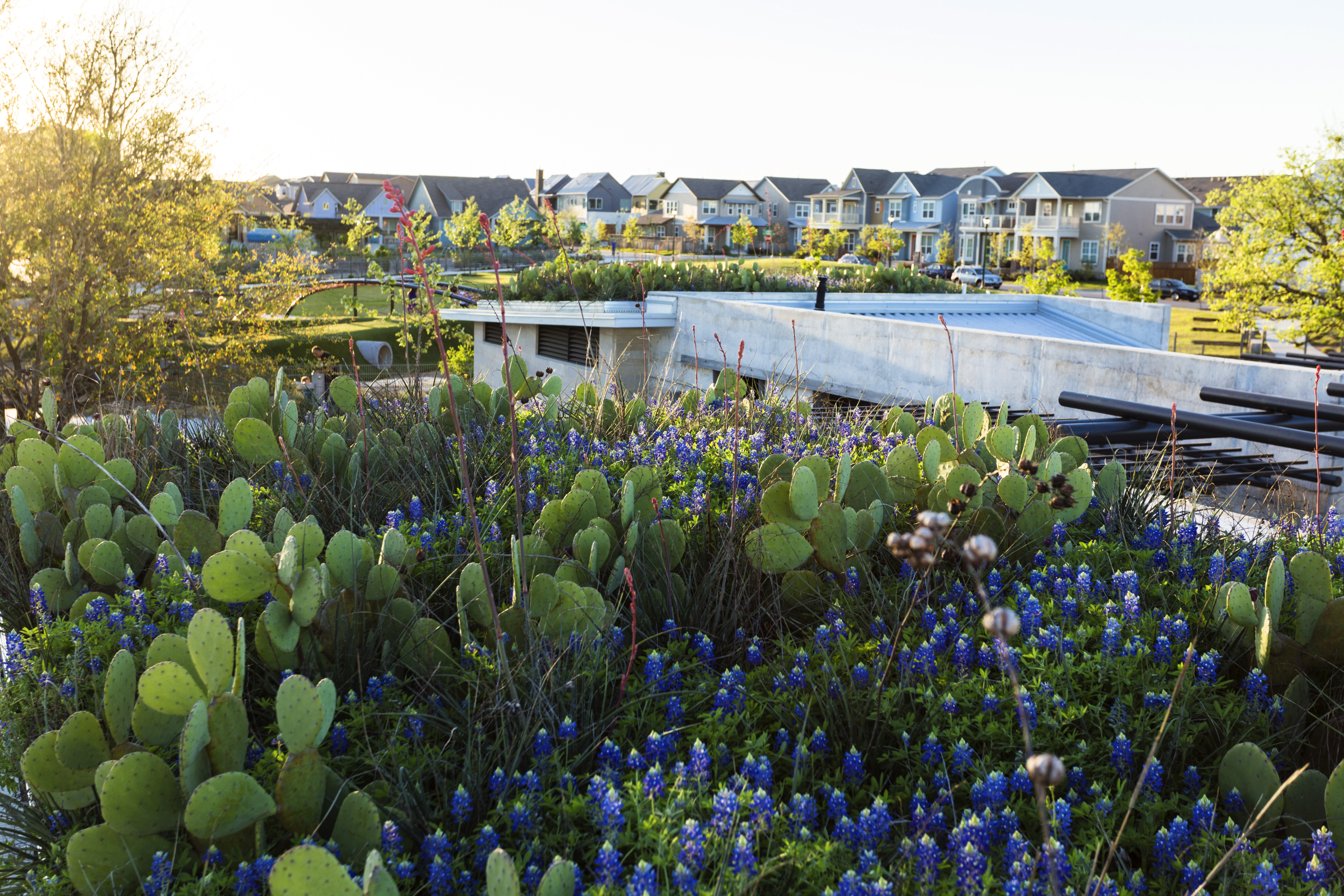 John Gaines Park Swim Center by Stanley Studio - Architizer