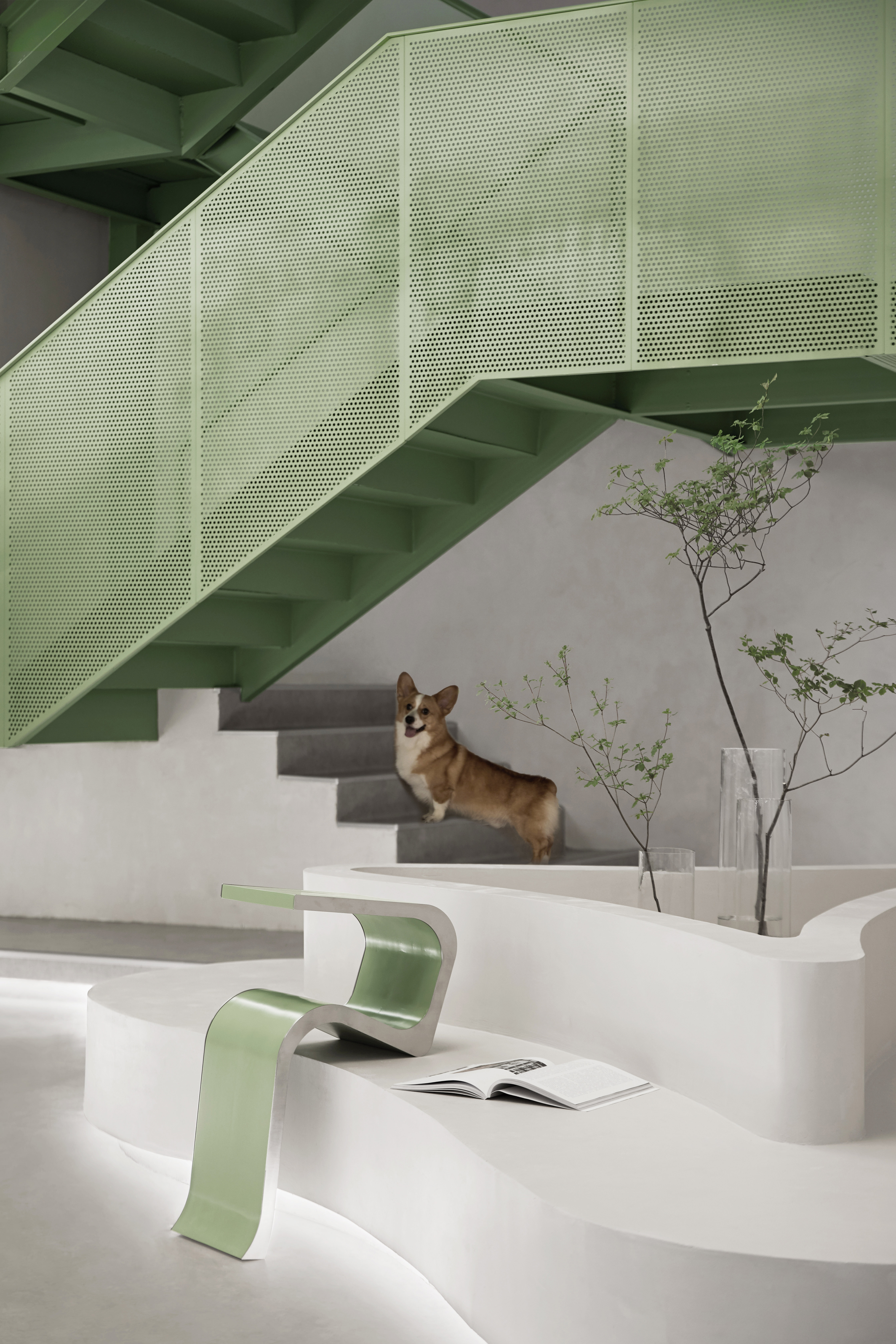 Springfield Pet Hospital - Architizer