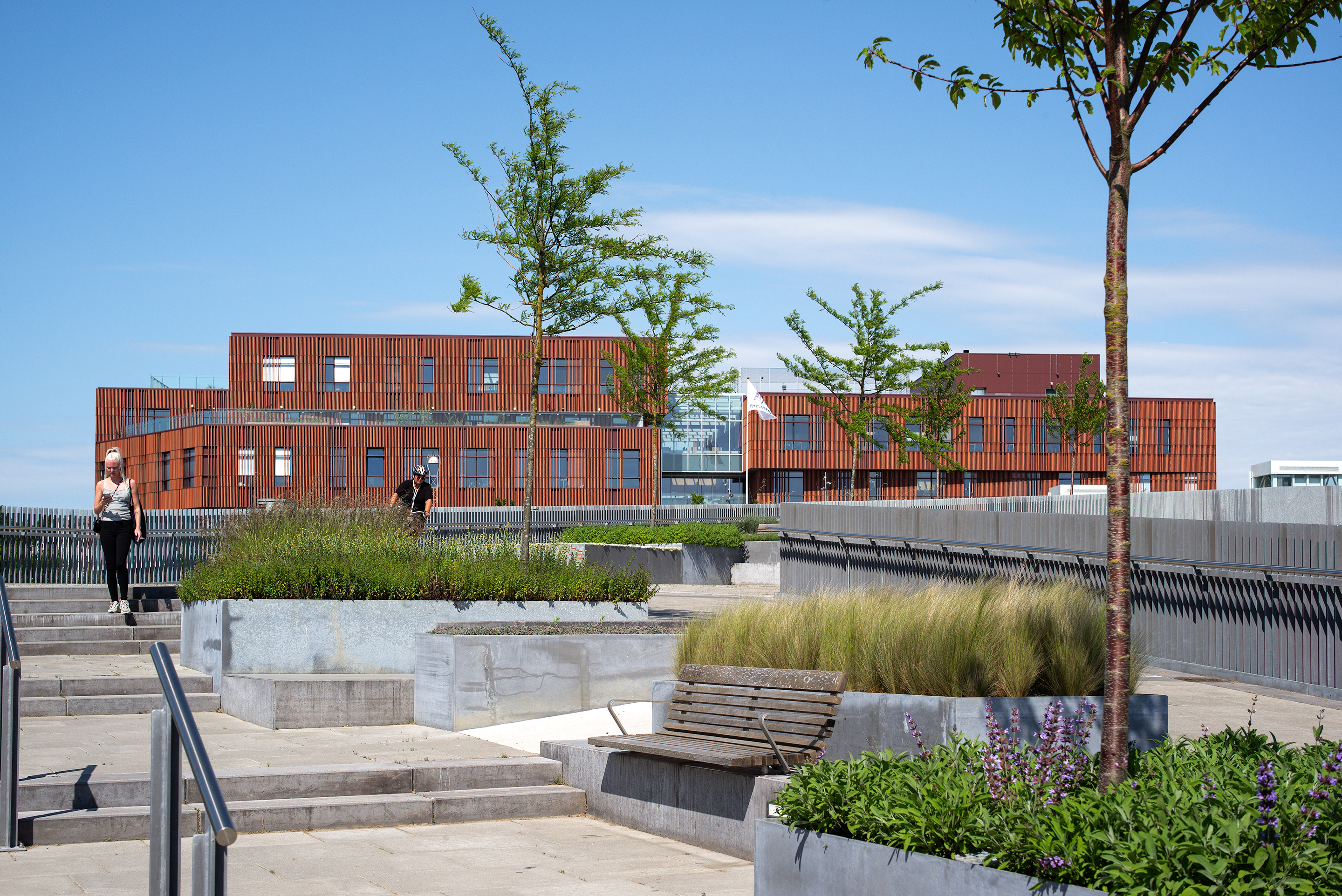 Mercantec - Business and Technical College by Cubo Arkitekter - Architizer