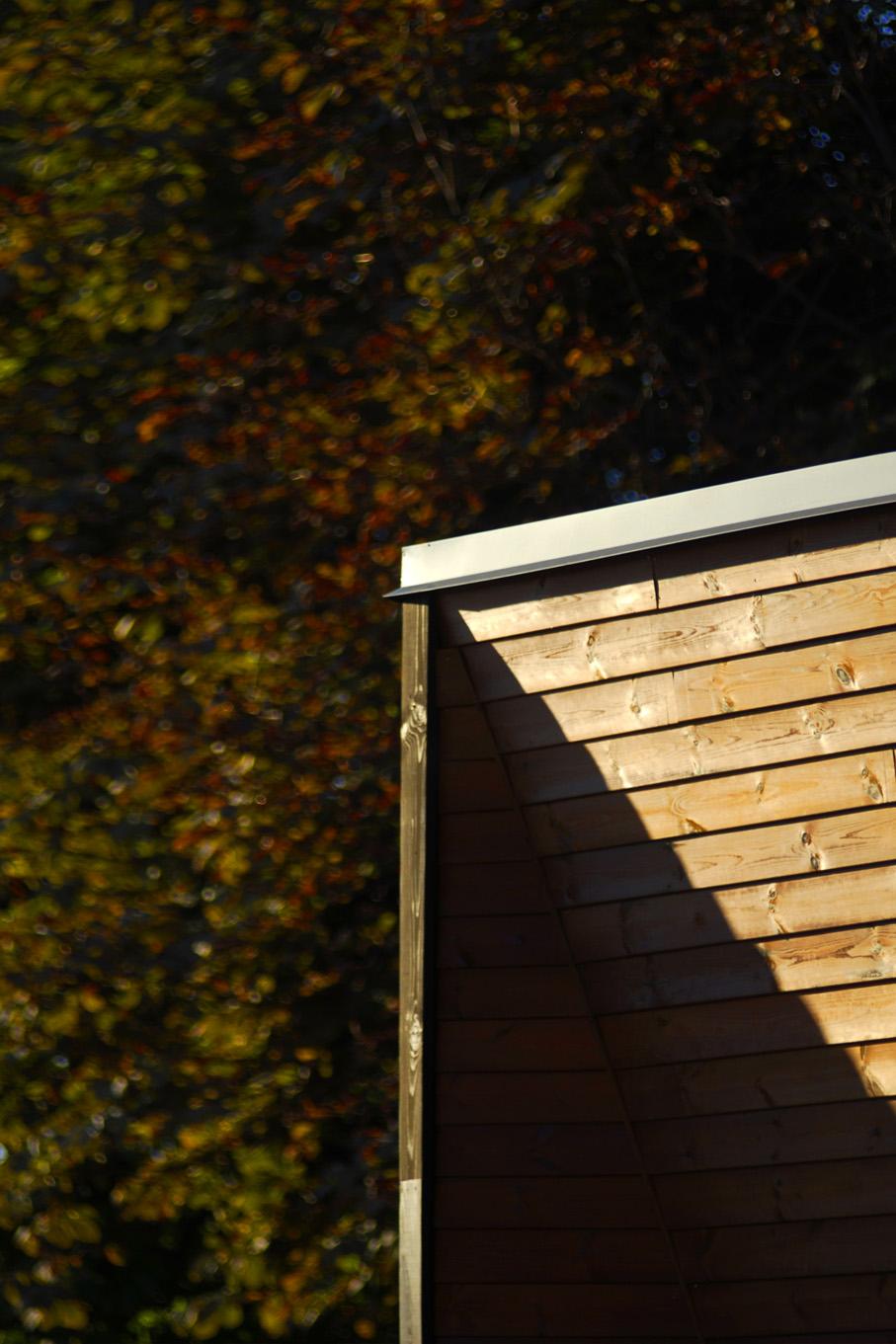 LOW BUILDING by Studio 3Mark - Architizer