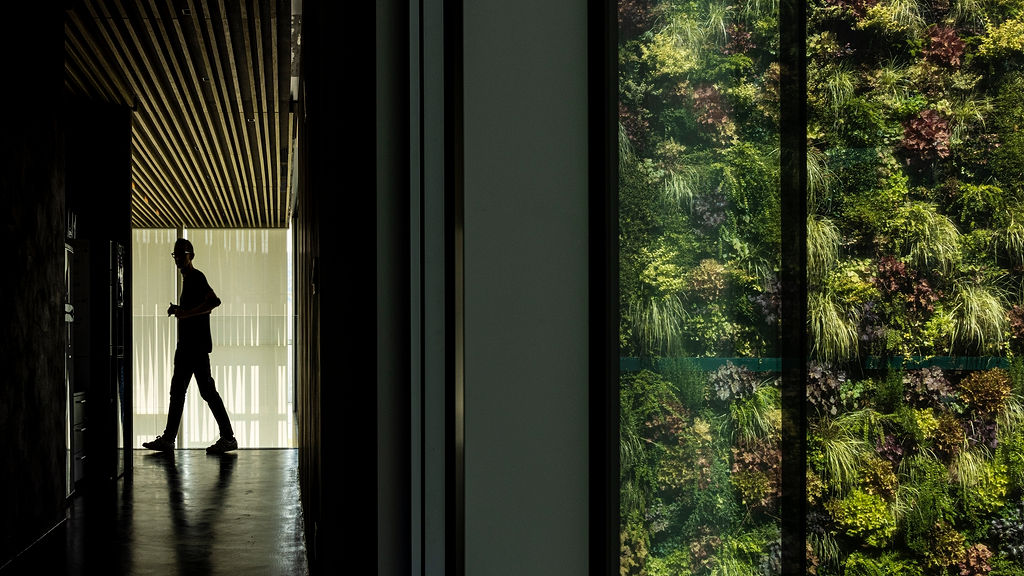 FAEDA by 3ndy Studio - Architizer