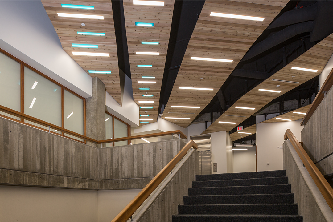 UCSD Eckart Library Orcutt/SIO/I.T. Renovation by obrARCHITECTURE inc ...