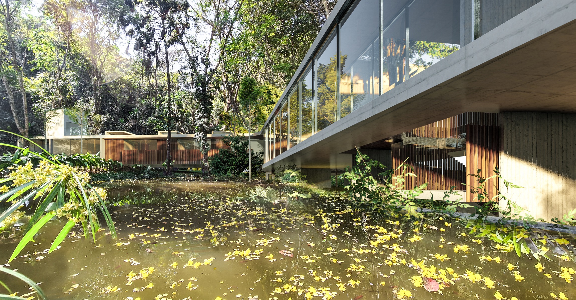 The Grotto House by TETRO ARQUITETURA - Architizer