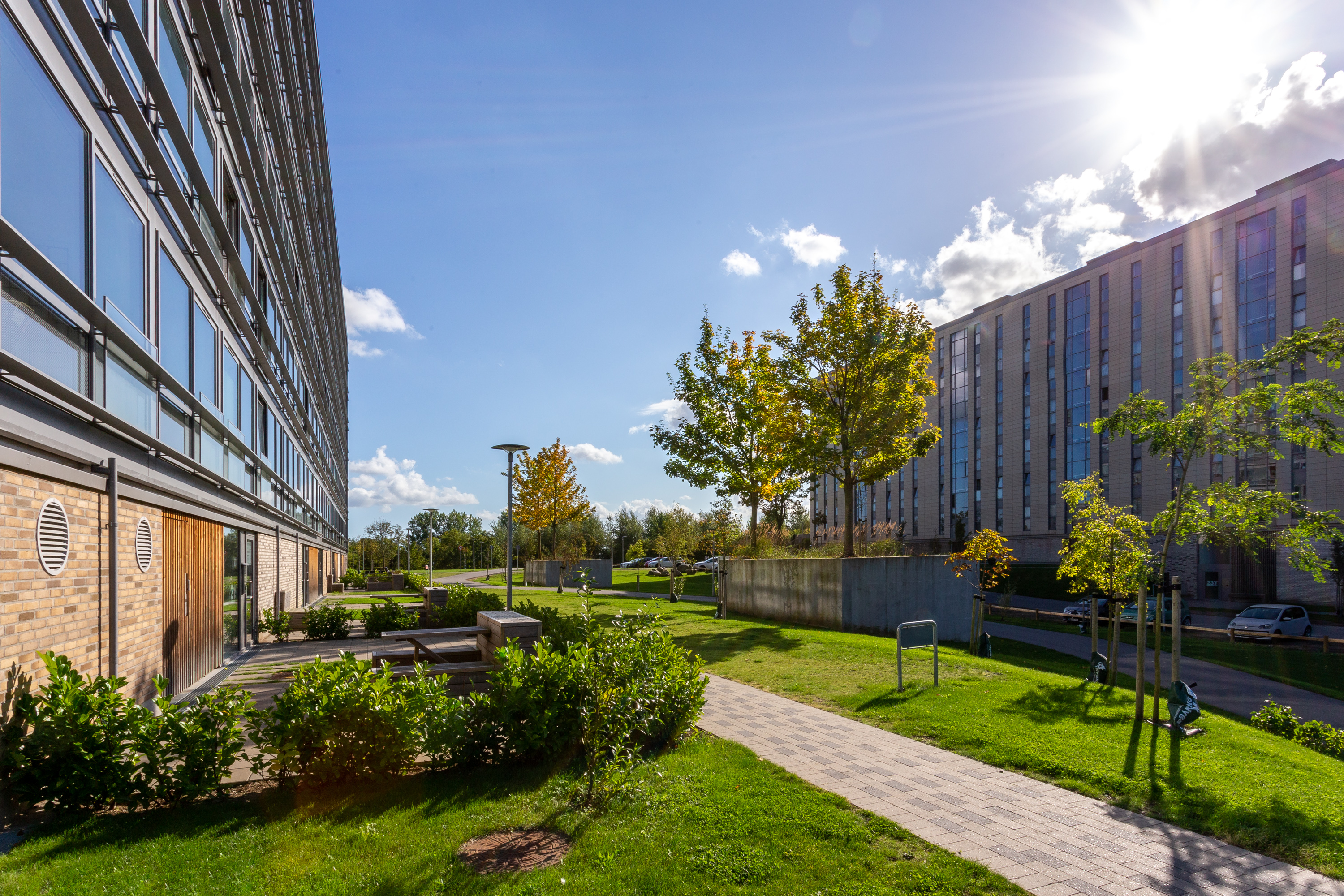 Vaagen high school and Sandnes Culture Academy by LINK Arkitektur ...