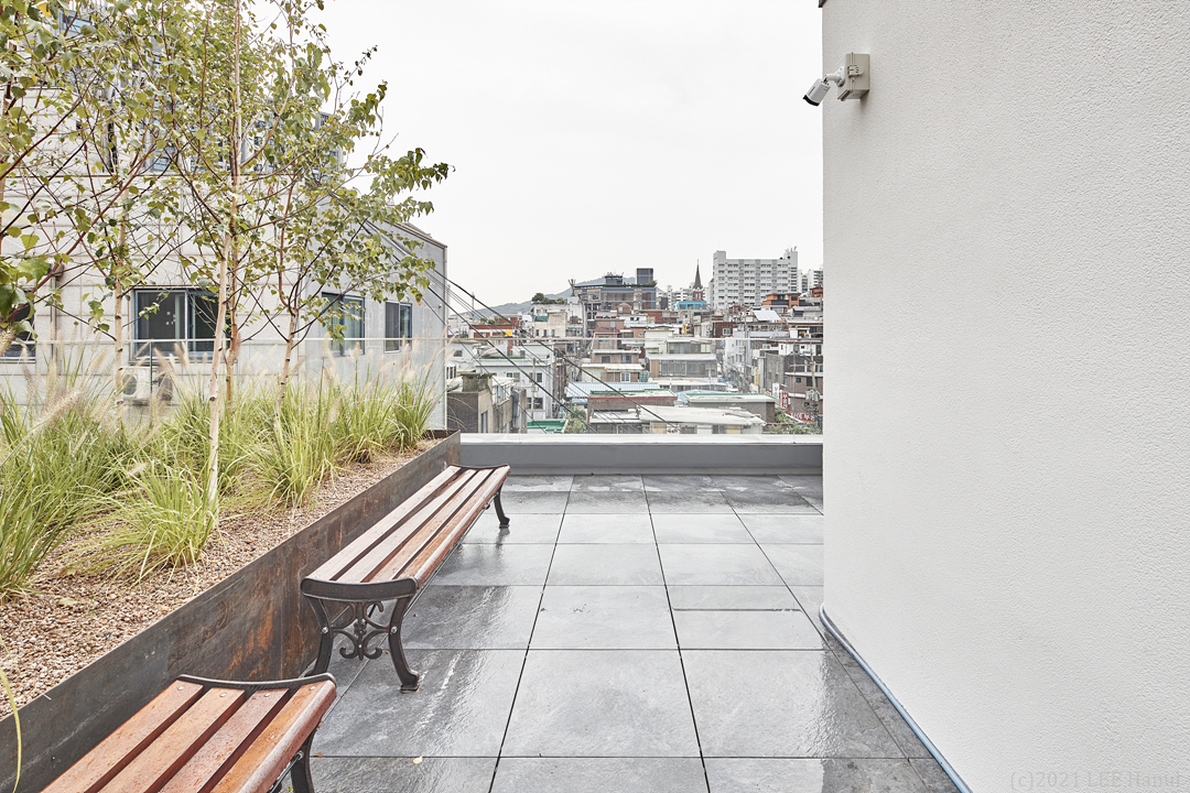 Dear House by Dear Arch - Architizer