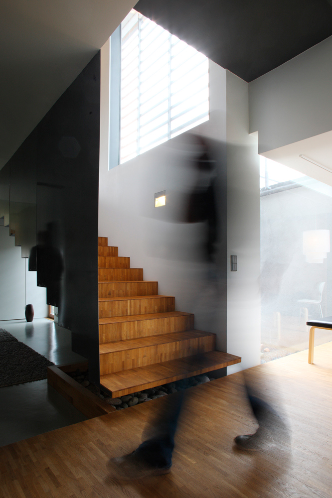 House Three trees by PAVE Architects - Architizer