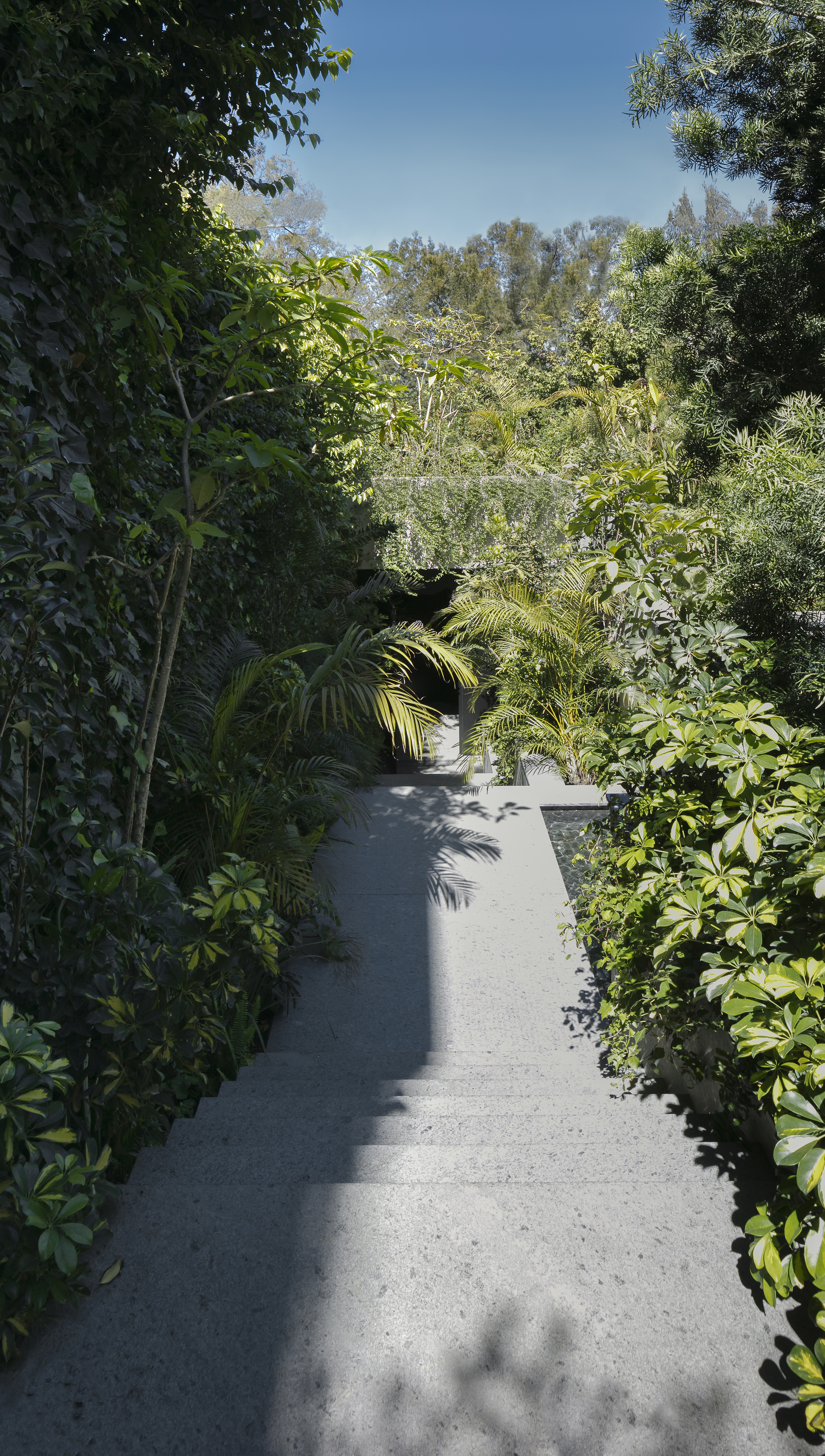 Casa Pirul by grupoarquitectura - Architizer