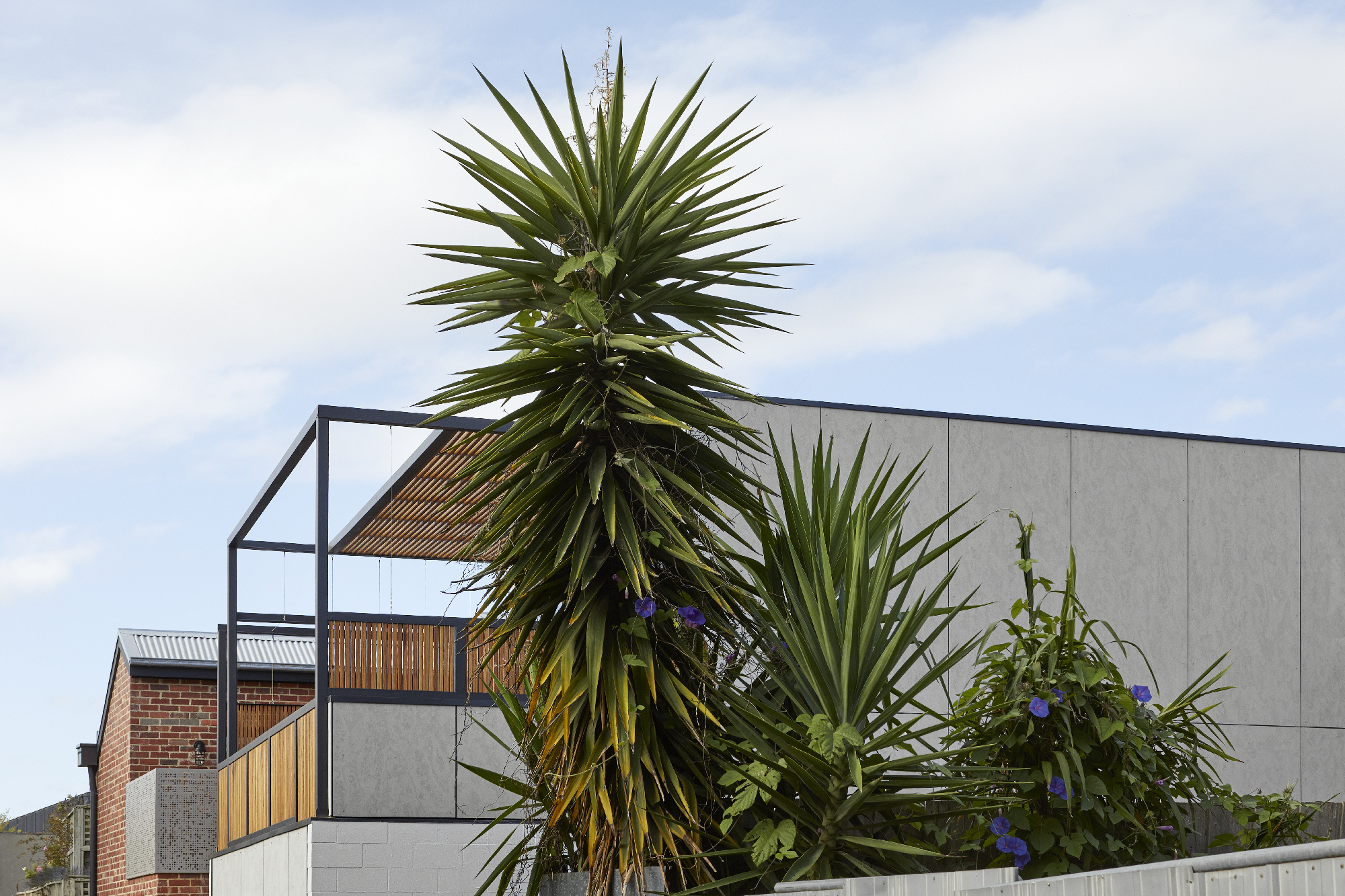 Laneway House by Subtract Architecture - Architizer