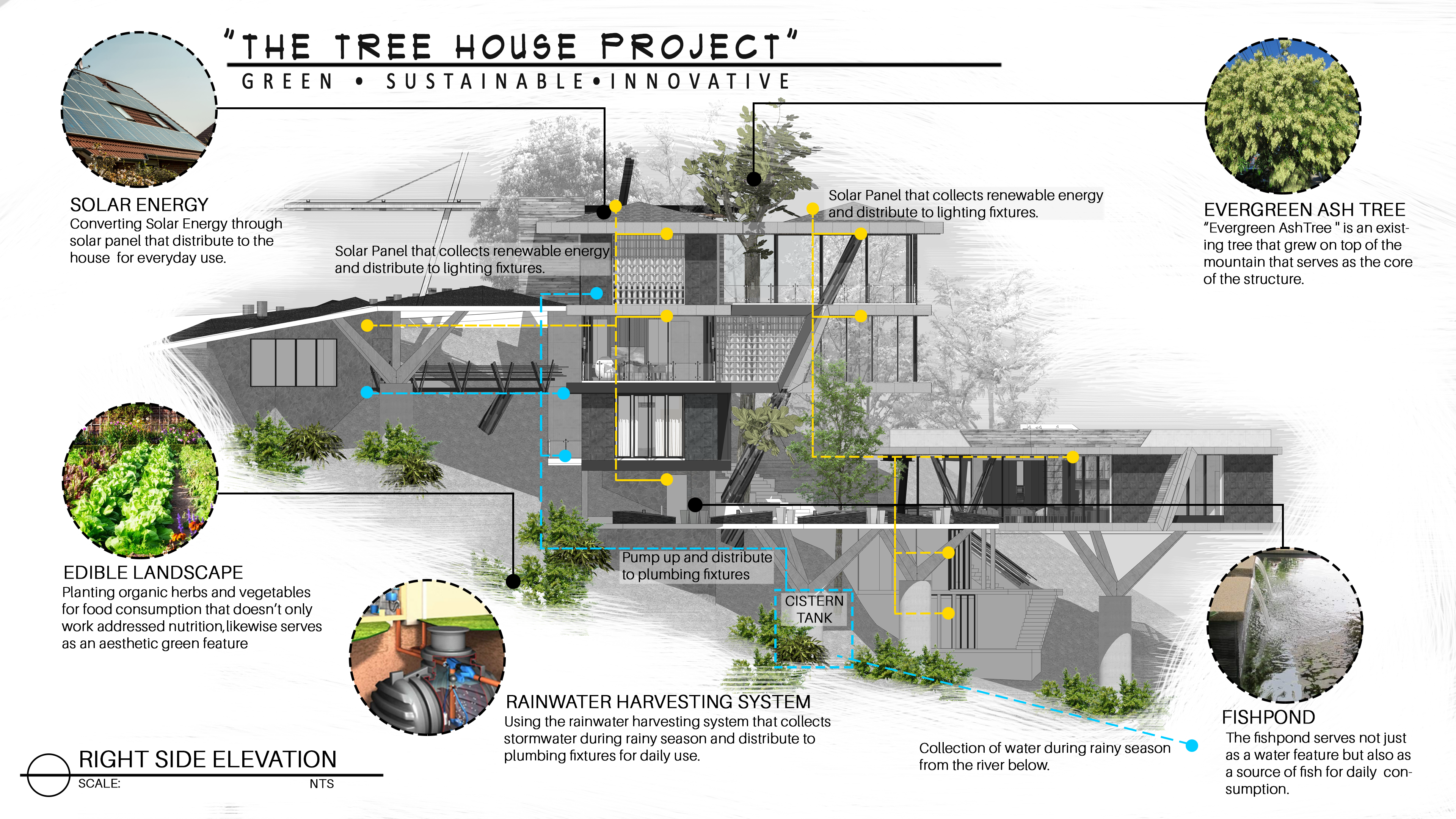 “𝗧𝗛𝗘 𝗧𝗥𝗘𝗘 𝗛𝗢𝗨𝗦𝗘” (Multi Level Residential house) - Architizer