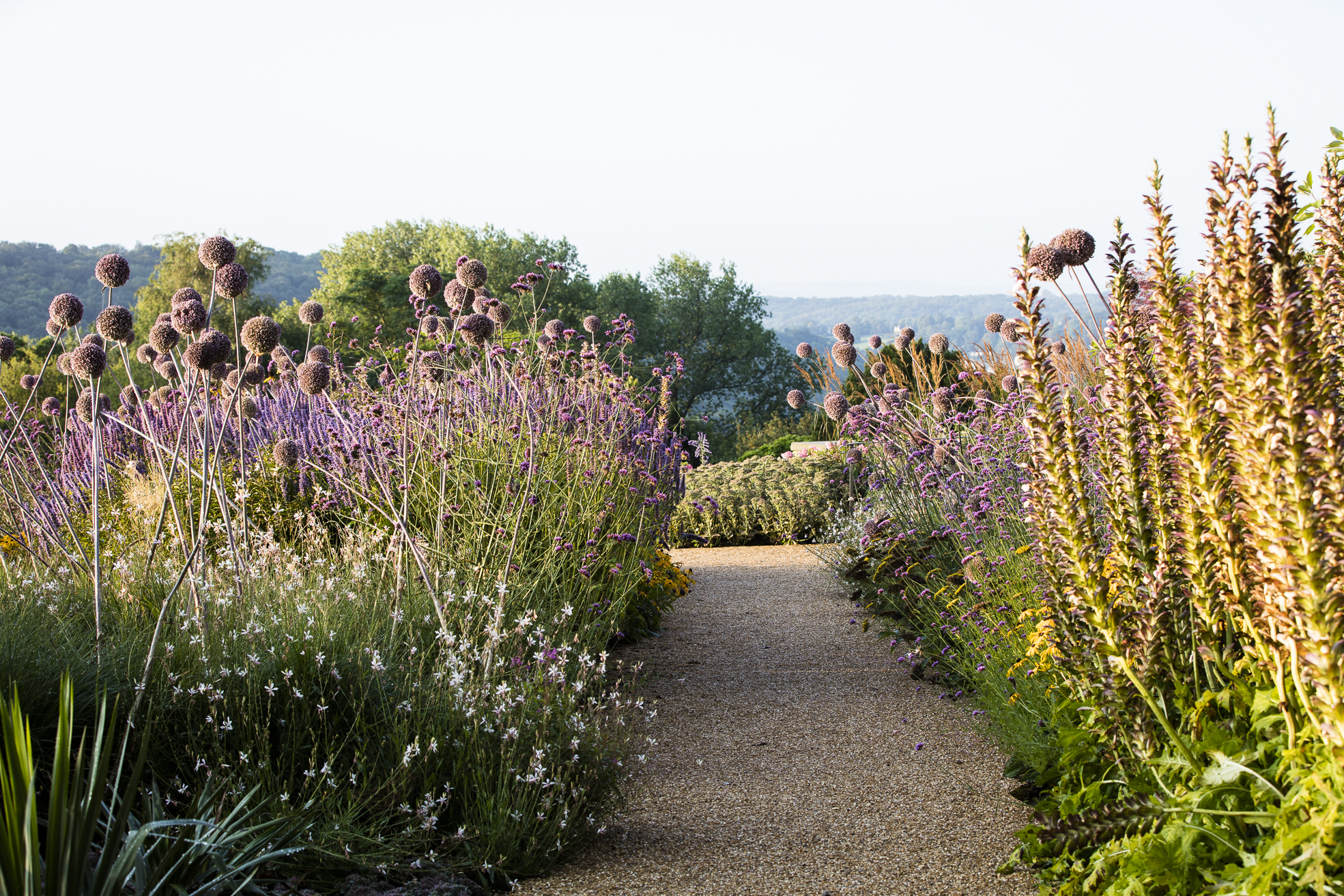 New American Garden at the American Museum and Gardens by OEHME, VAN ...