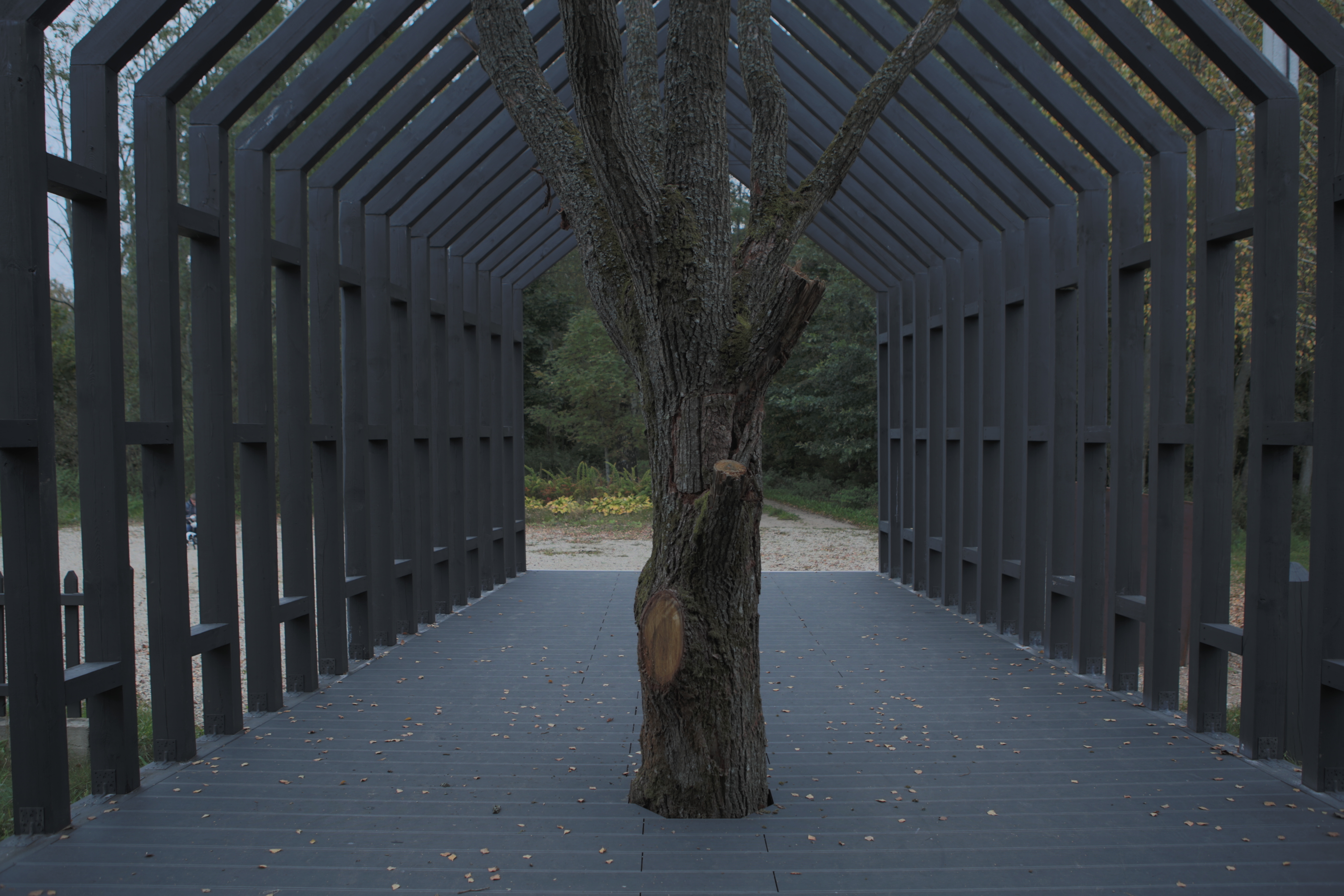 MYTHOLOGICAL MUSEUM by ZROBIM architects - Architizer