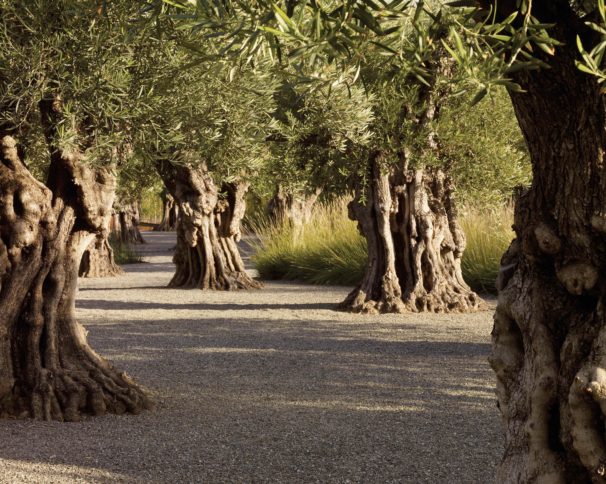 Stone Edge Farm by Andrea Cochran Landscape Architecture - Architizer