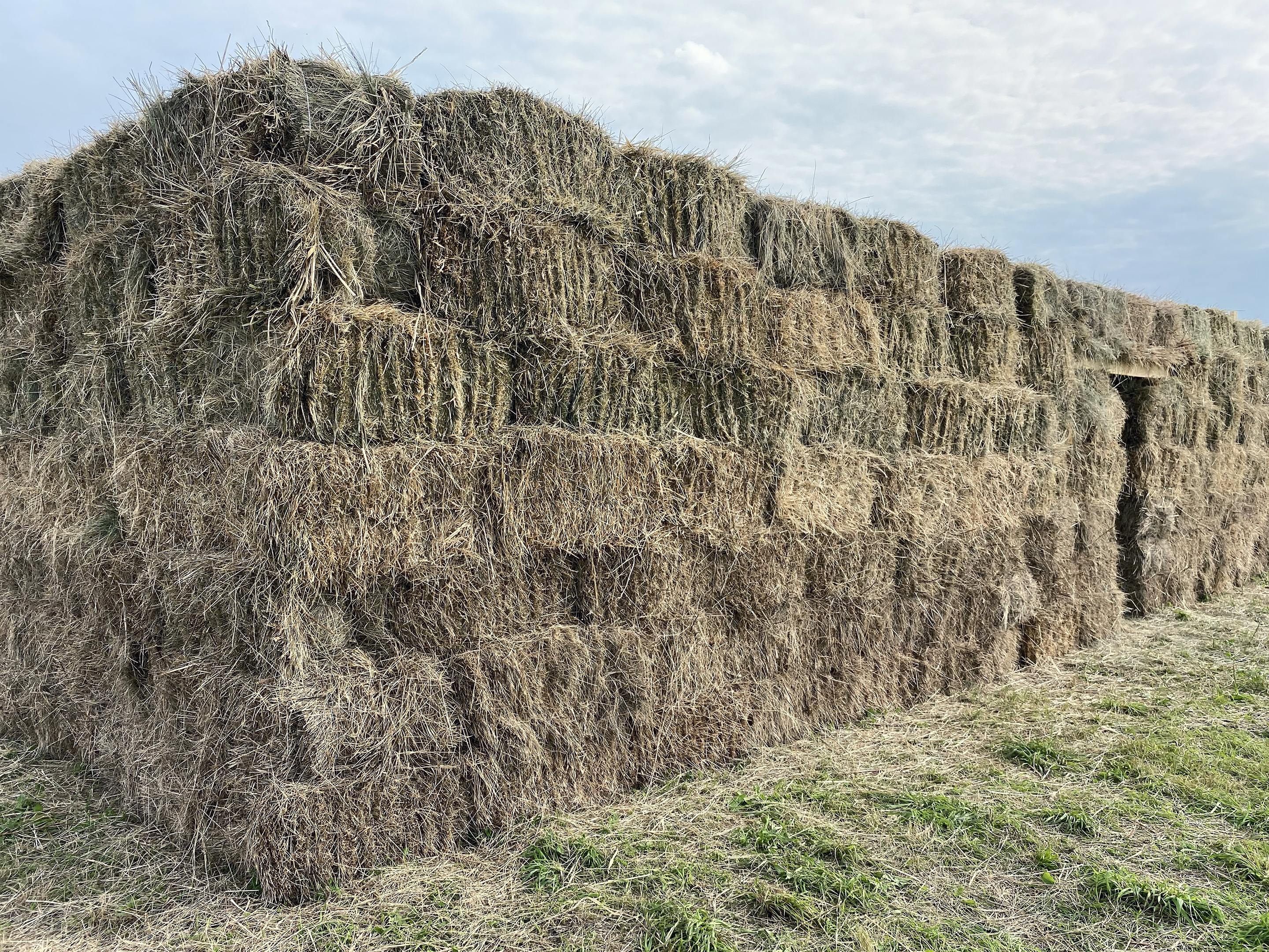 Soft Corner Pavilion by whitelakewhitelake - Architizer