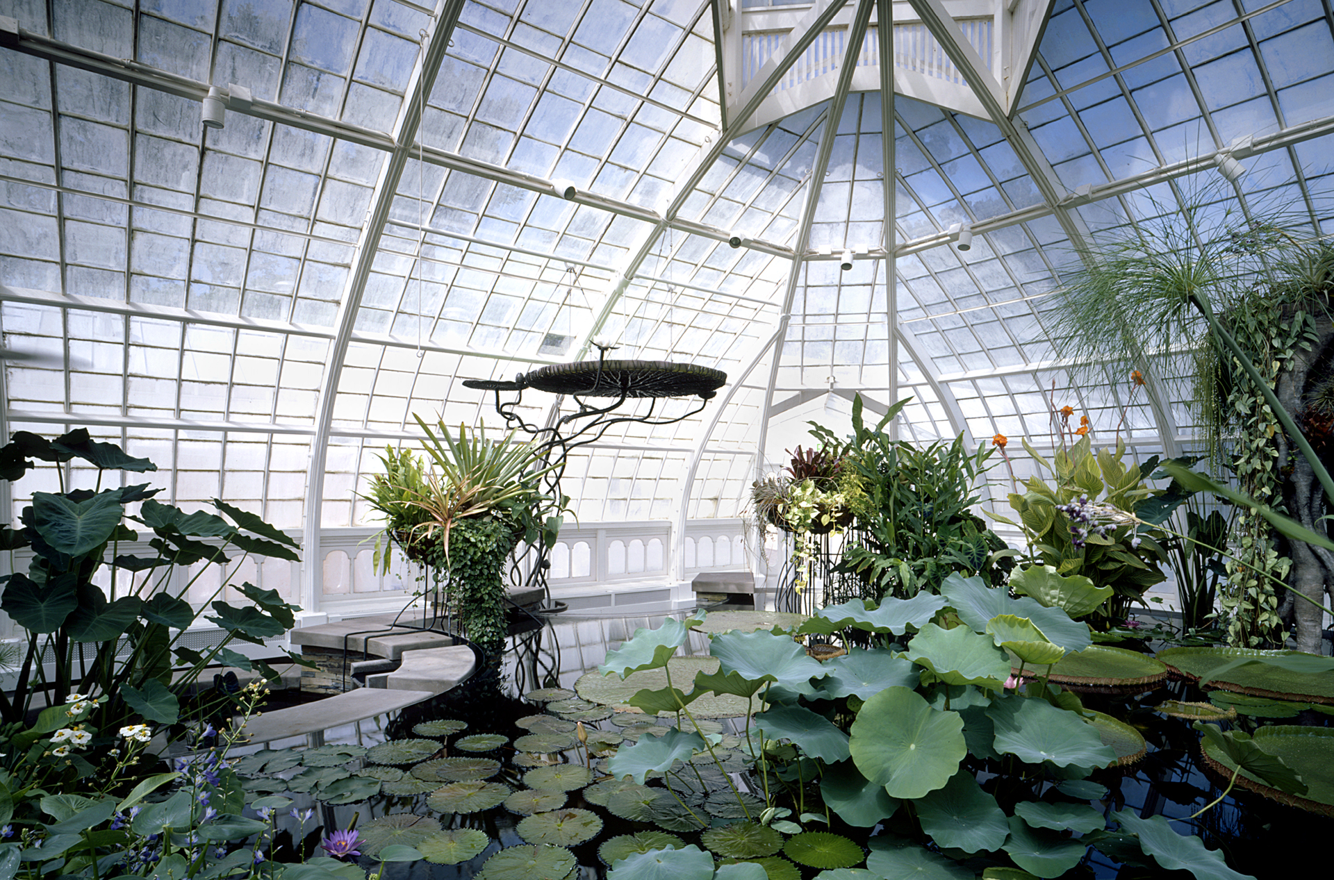 Conservatory of Flowers by Architectural Resources Group, Inc - Architizer
