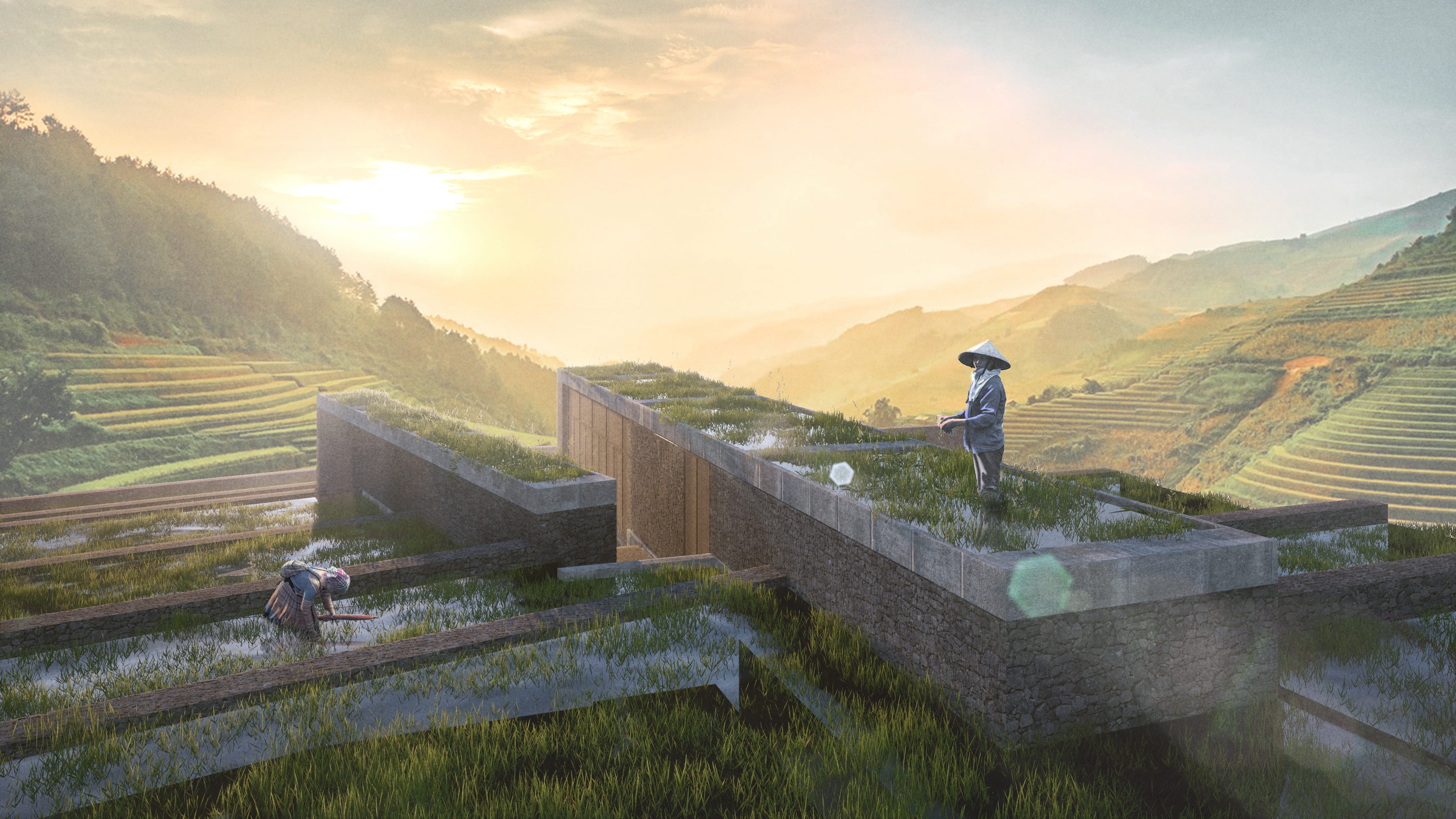 Vietnam Rice Field Lodge by Santiago Dominguez Arquitectura - Architizer