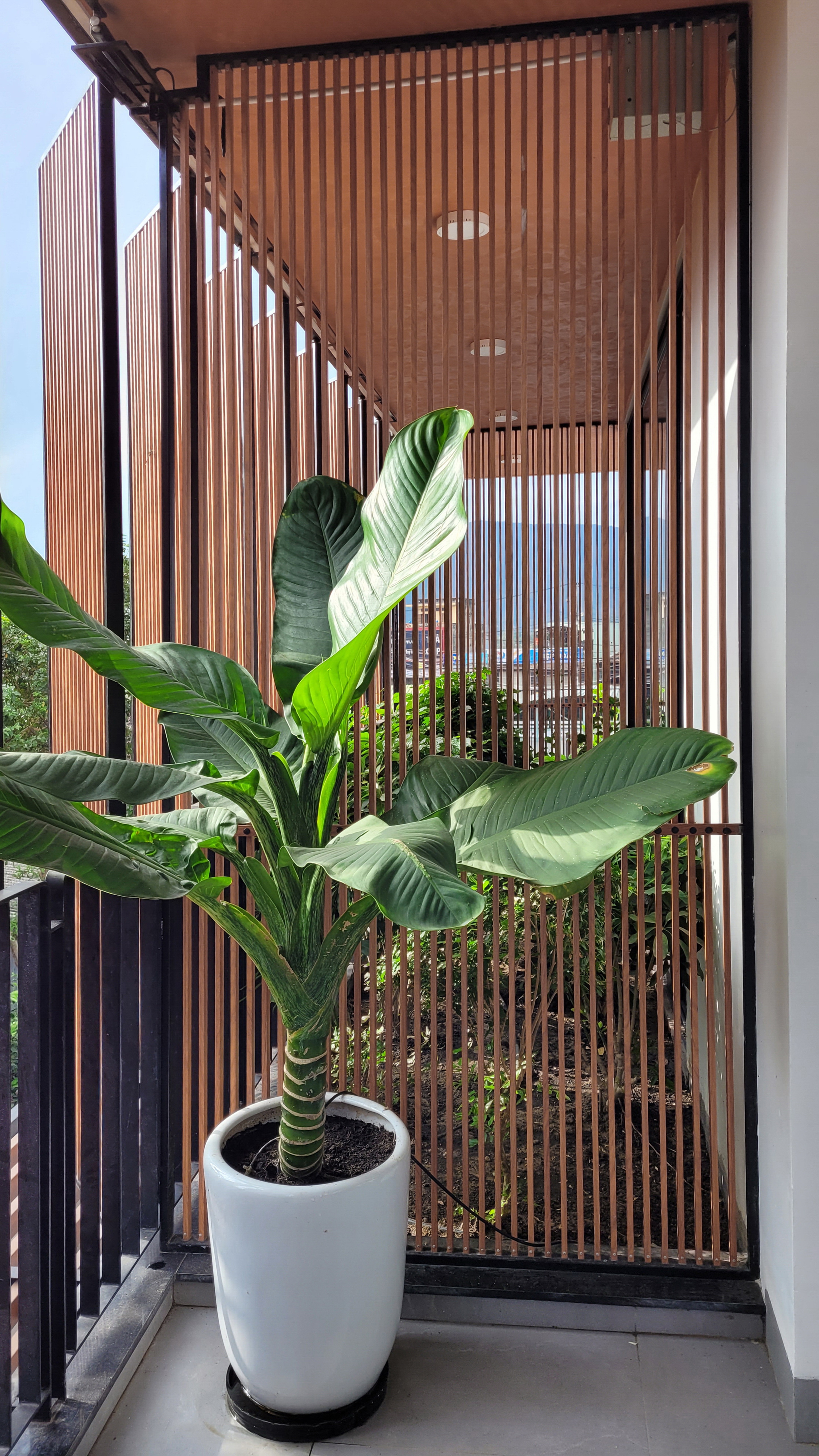 QH-Villa by Chi.Arch - Architizer