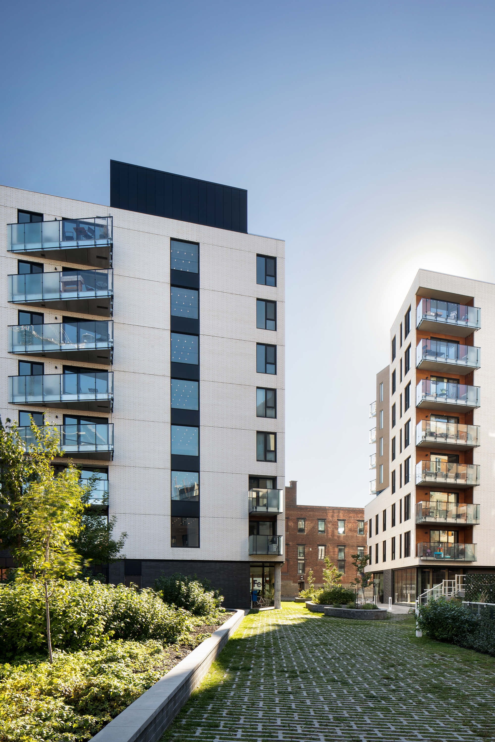 Arbora Phases II and III by Provencher_Roy - Architizer