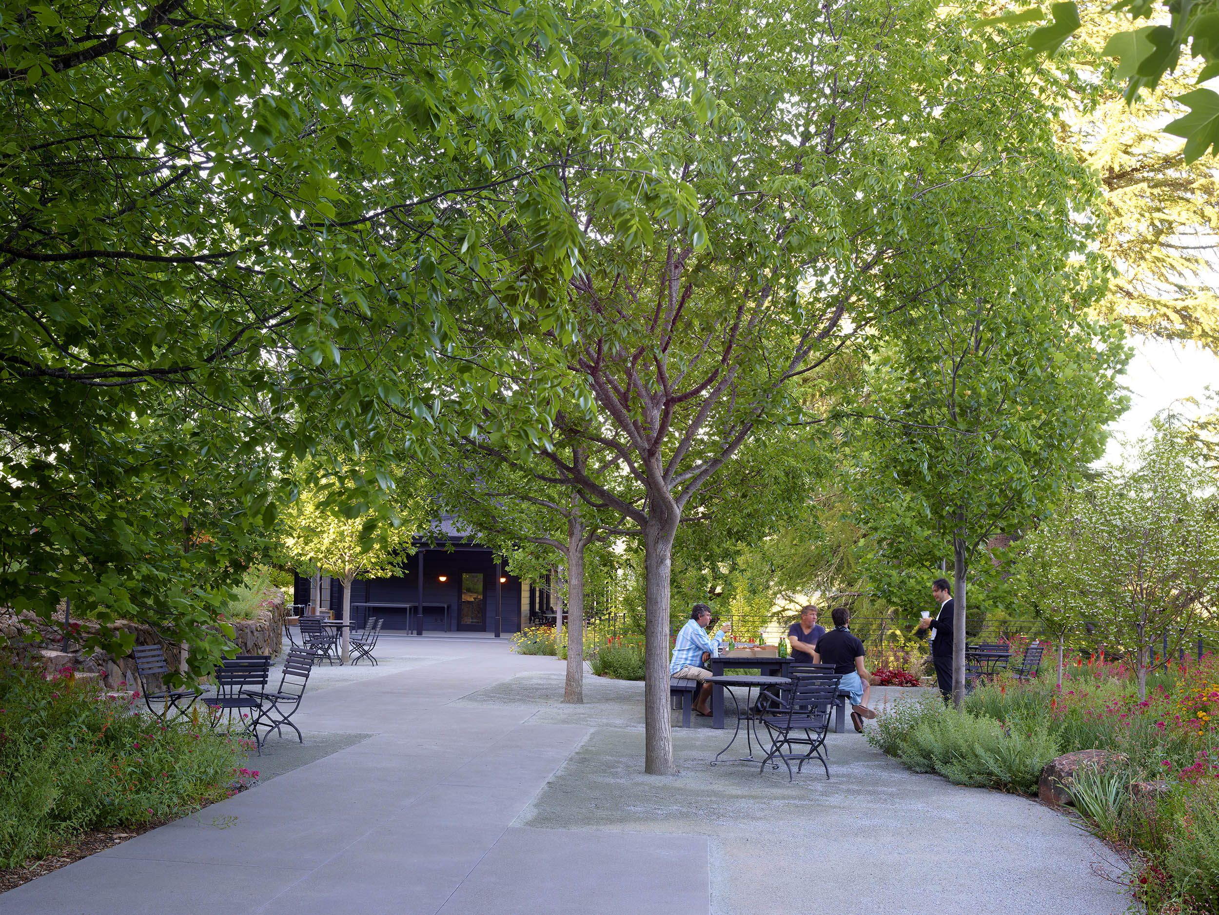 Faust Winery by Surfacedesign, Inc - Architizer