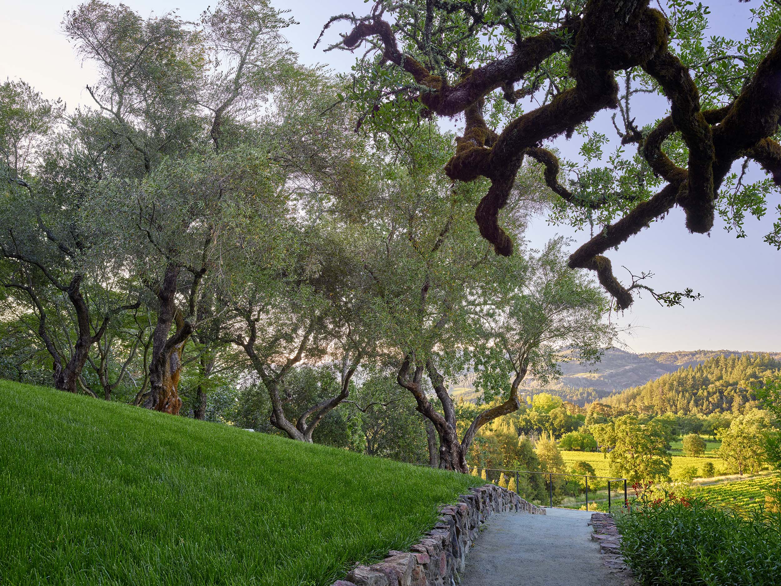 Faust Winery by Surfacedesign, Inc - Architizer