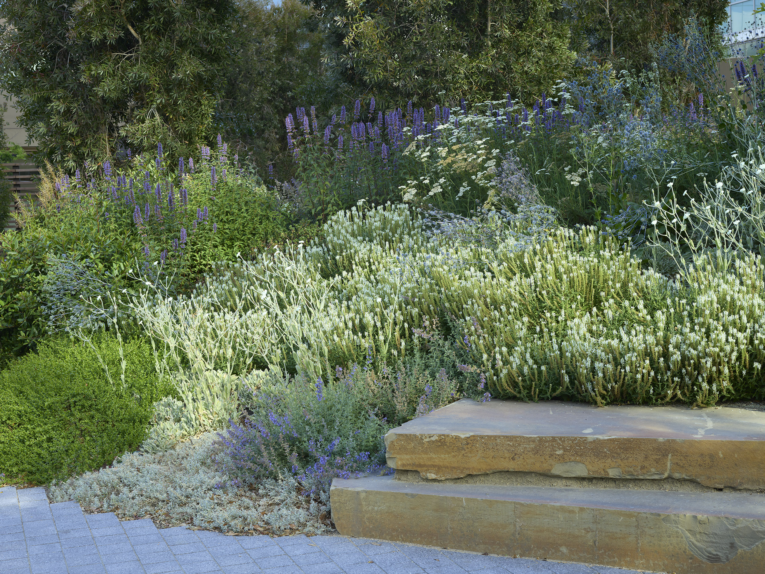Pierpoint Lane by Surfacedesign, Inc - Architizer