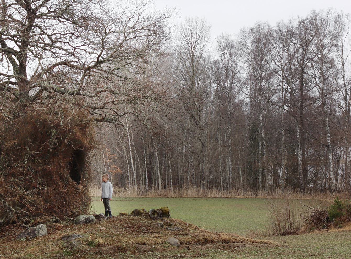 One Tree Four Seasons by Ulf Mejergren Architects (UMA) - Architizer