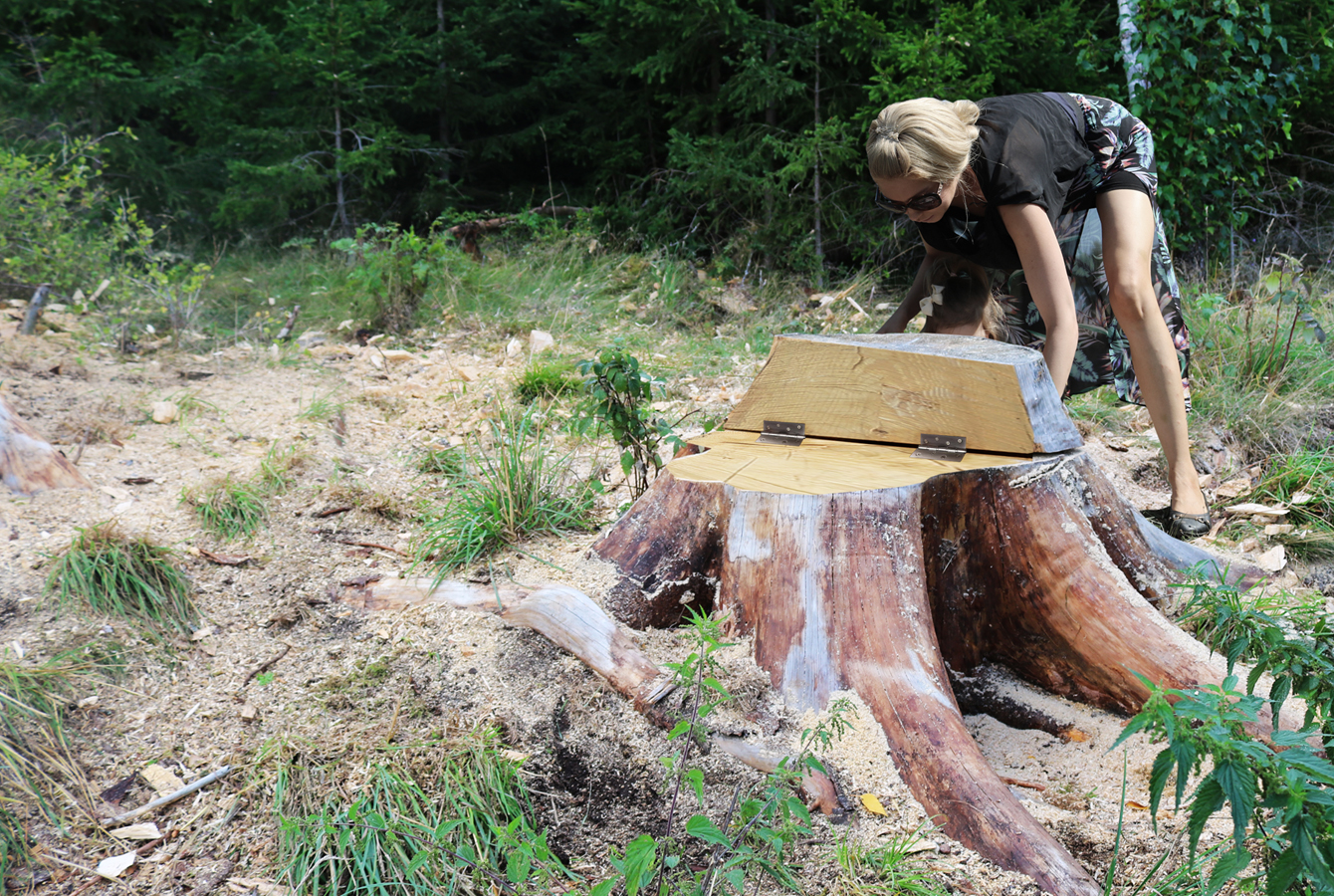 Trunk Tower by Ulf Mejergren Architects (UMA) - Architizer