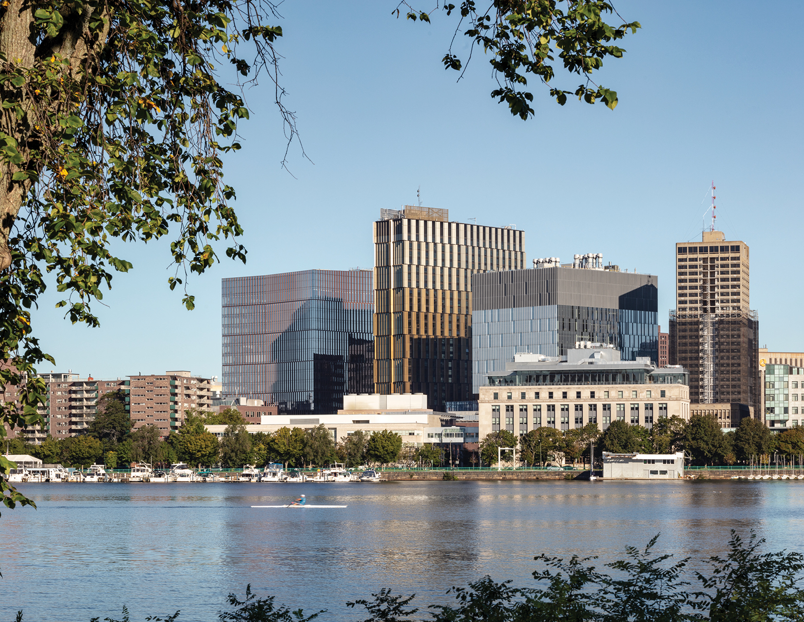 MIT Site 4 by NADAAA - Architizer