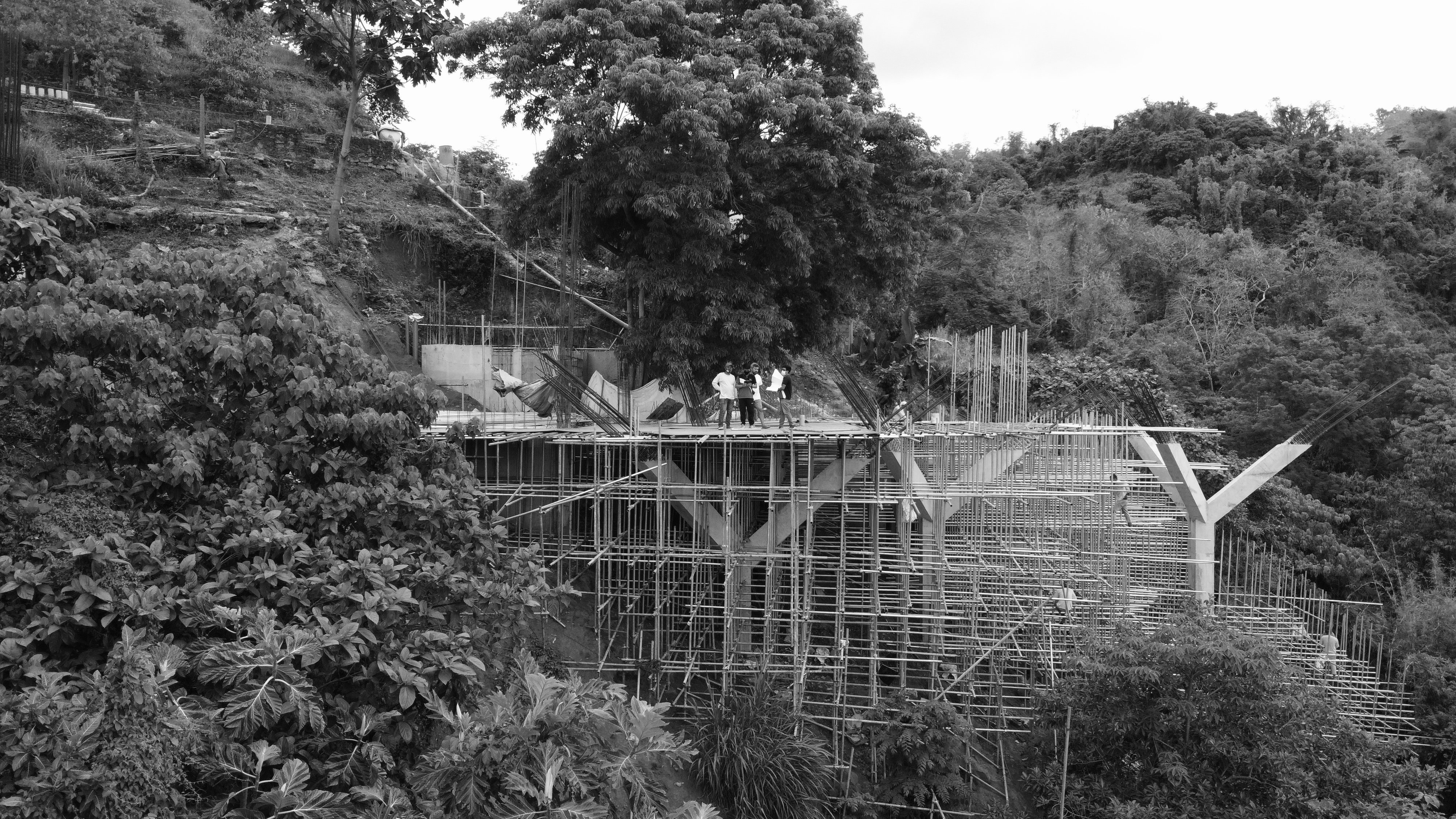 “𝗧𝗛𝗘 𝗧𝗥𝗘𝗘 𝗛𝗢𝗨𝗦𝗘” (Multi Level Residential house) by DST Design + Build ...