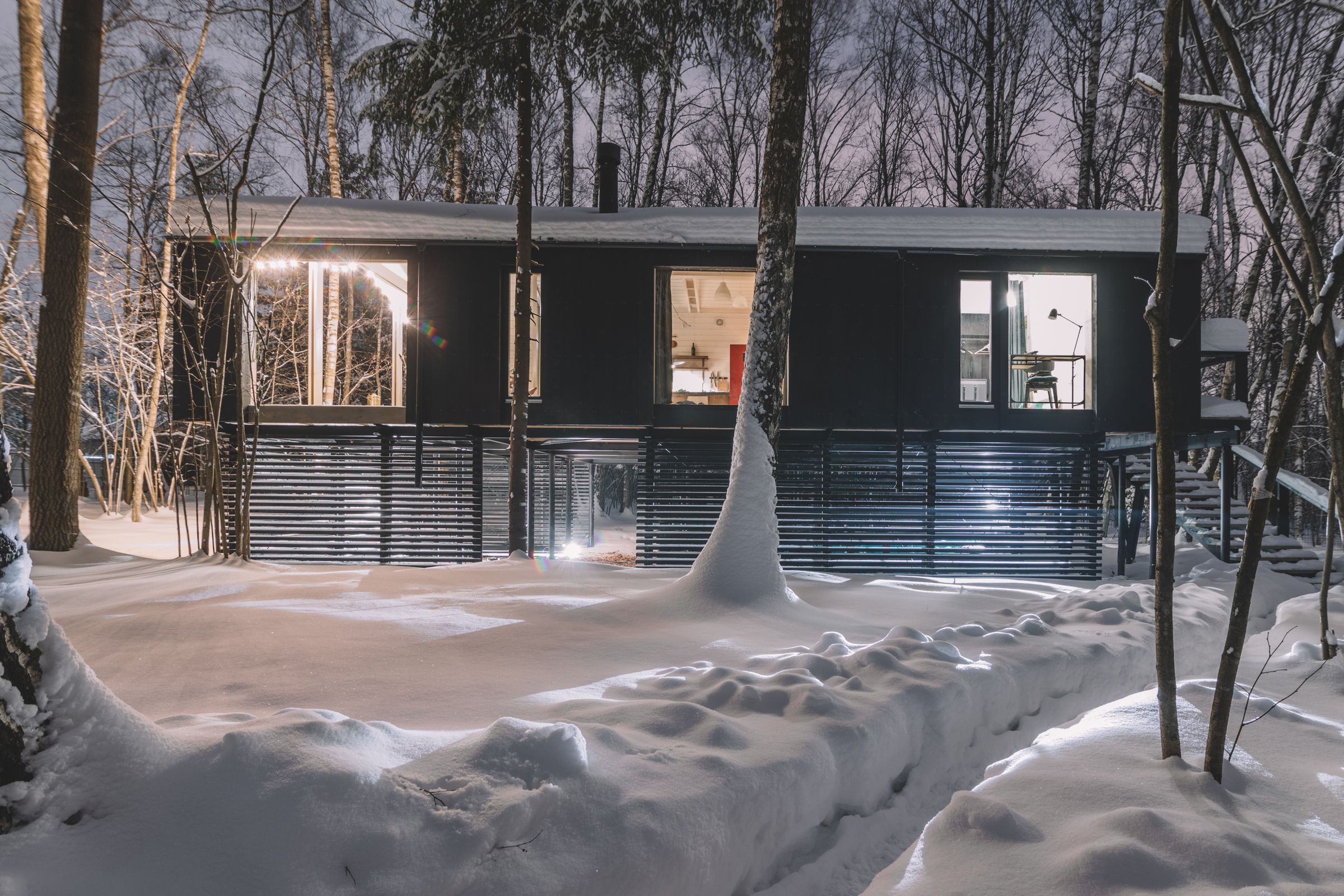 Forest DublDom by BIO-architects - Architizer