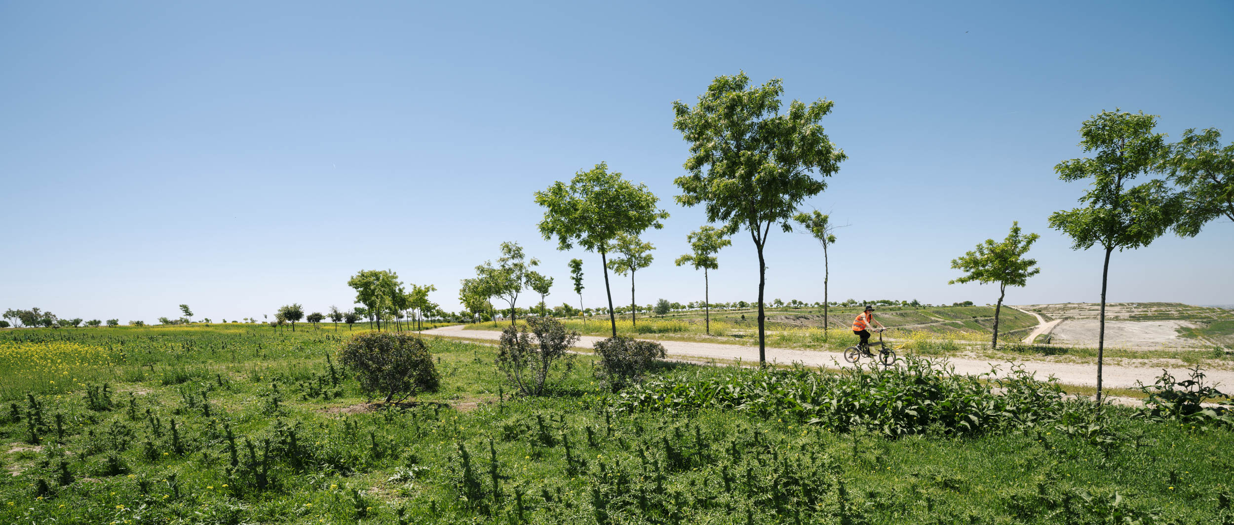 Valdemingomez Forest Park. Landscape Restoration of Valdemingomez Waste ...