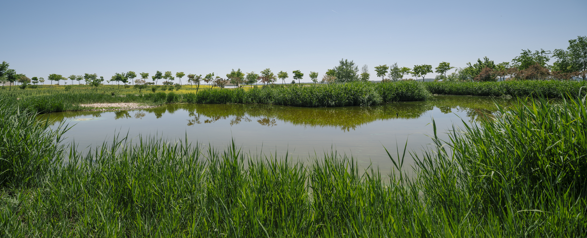 Valdemingomez Forest Park. Landscape Restoration of Valdemingomez Waste ...