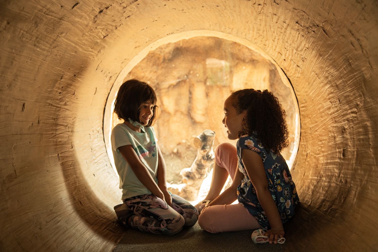 PALO ALTO JUNIOR MUSEUM + ZOO by CAW Architects - Architizer