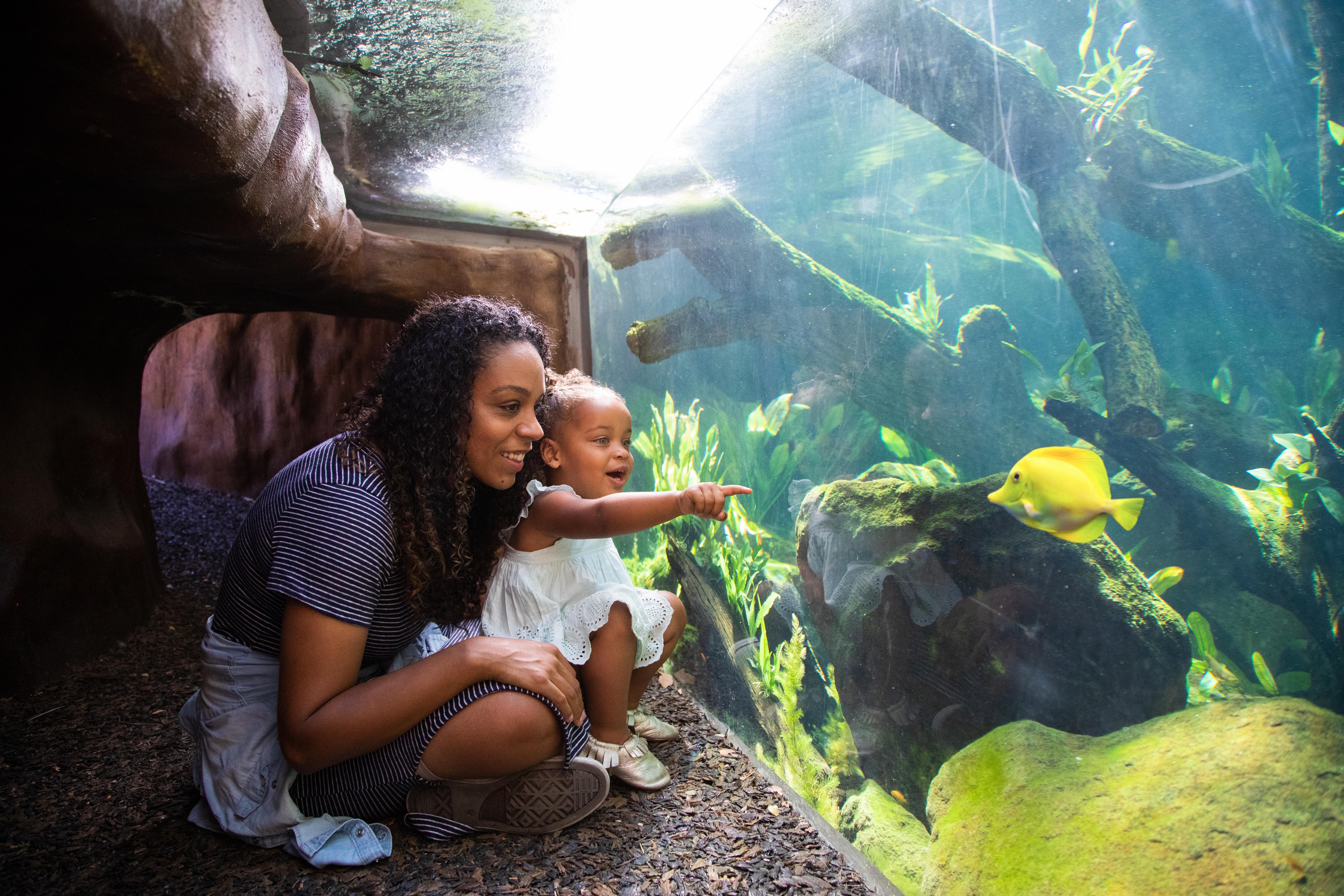 PALO ALTO JUNIOR MUSEUM + ZOO by CAW Architects - Architizer