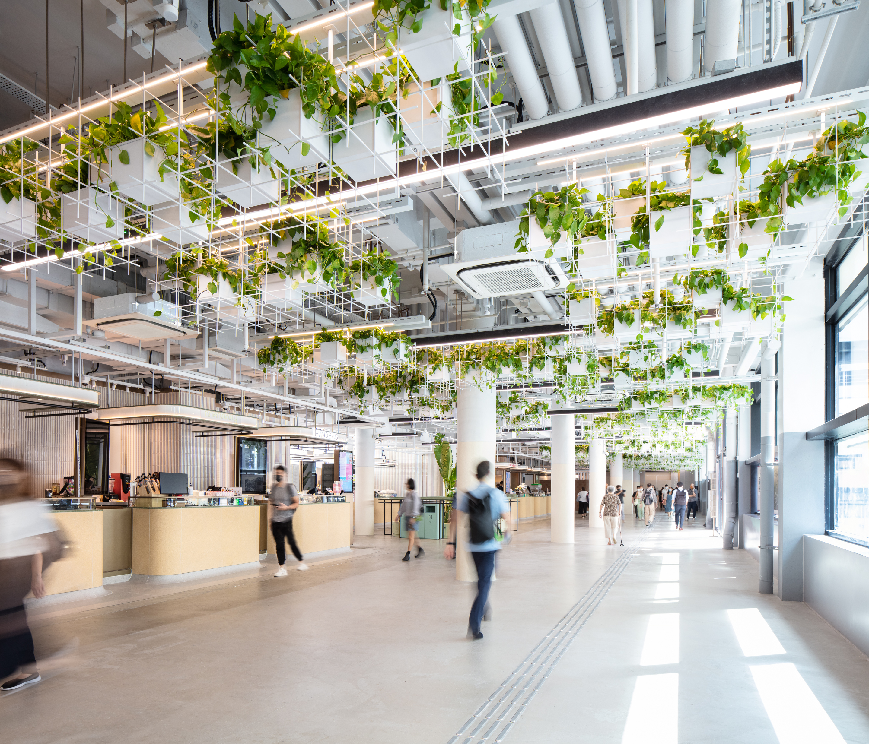 Central Market by S H Λ D O W - Architizer