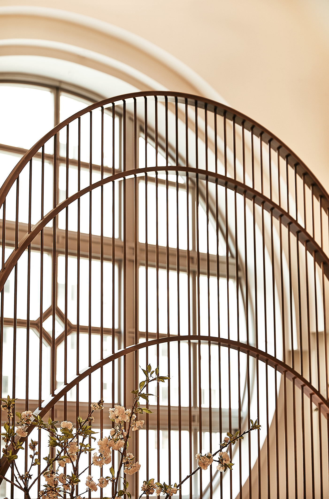 Aster Hall by OKW Architects - Architizer