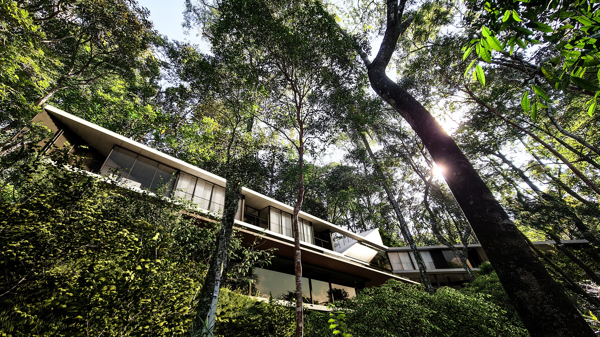 Trail House by TETRO ARQUITETURA - Architizer
