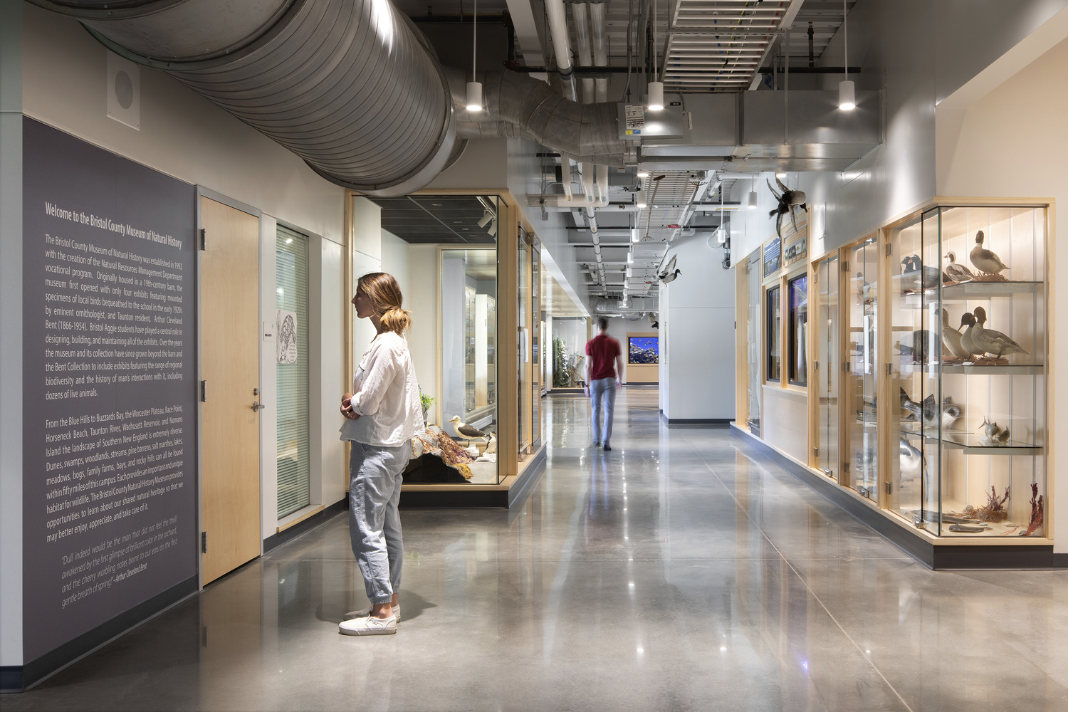 Bristol County Agricultural High School by HMFH Architects, Inc ...