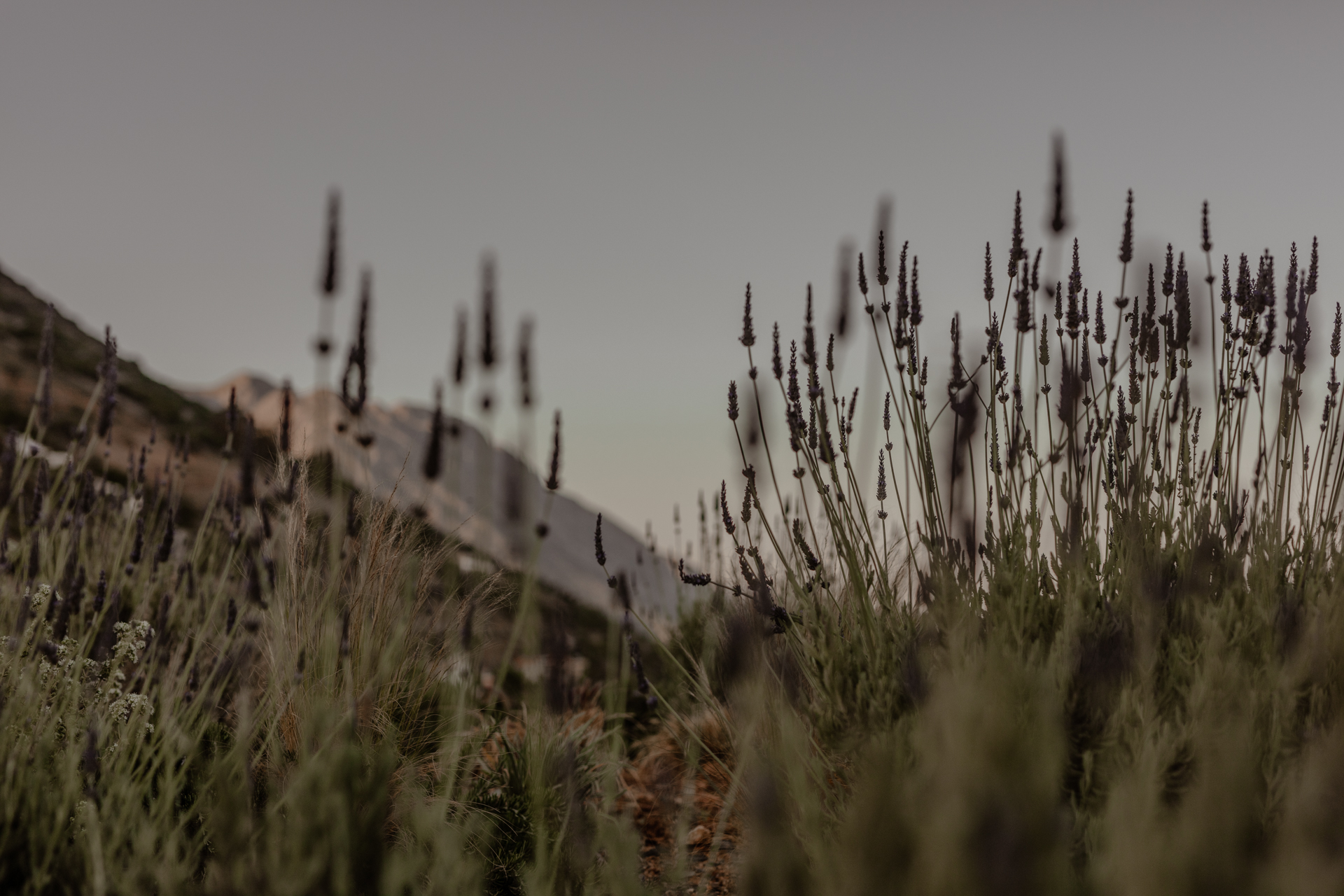 O LOFOS by block722 - Architizer